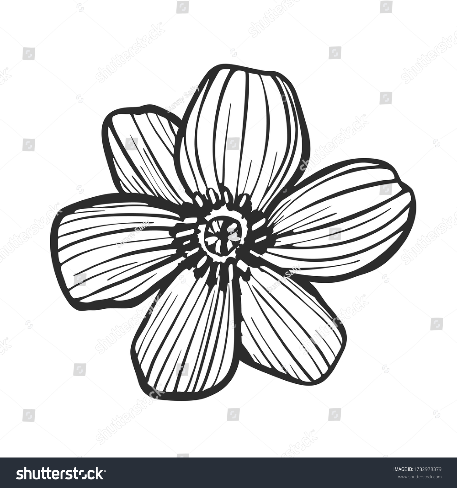 Hand Drawn Flower Element Vector Decoration Stock Vector (Royalty Free) 1732978379 | Shutterstock