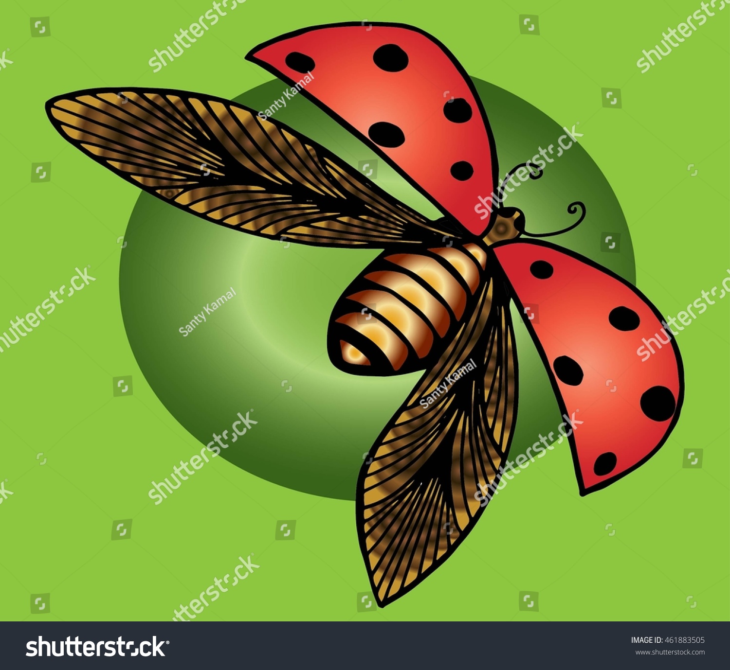 Hand Drawn Ladybug Illustration Stock Vector (Royalty Free) 461883505