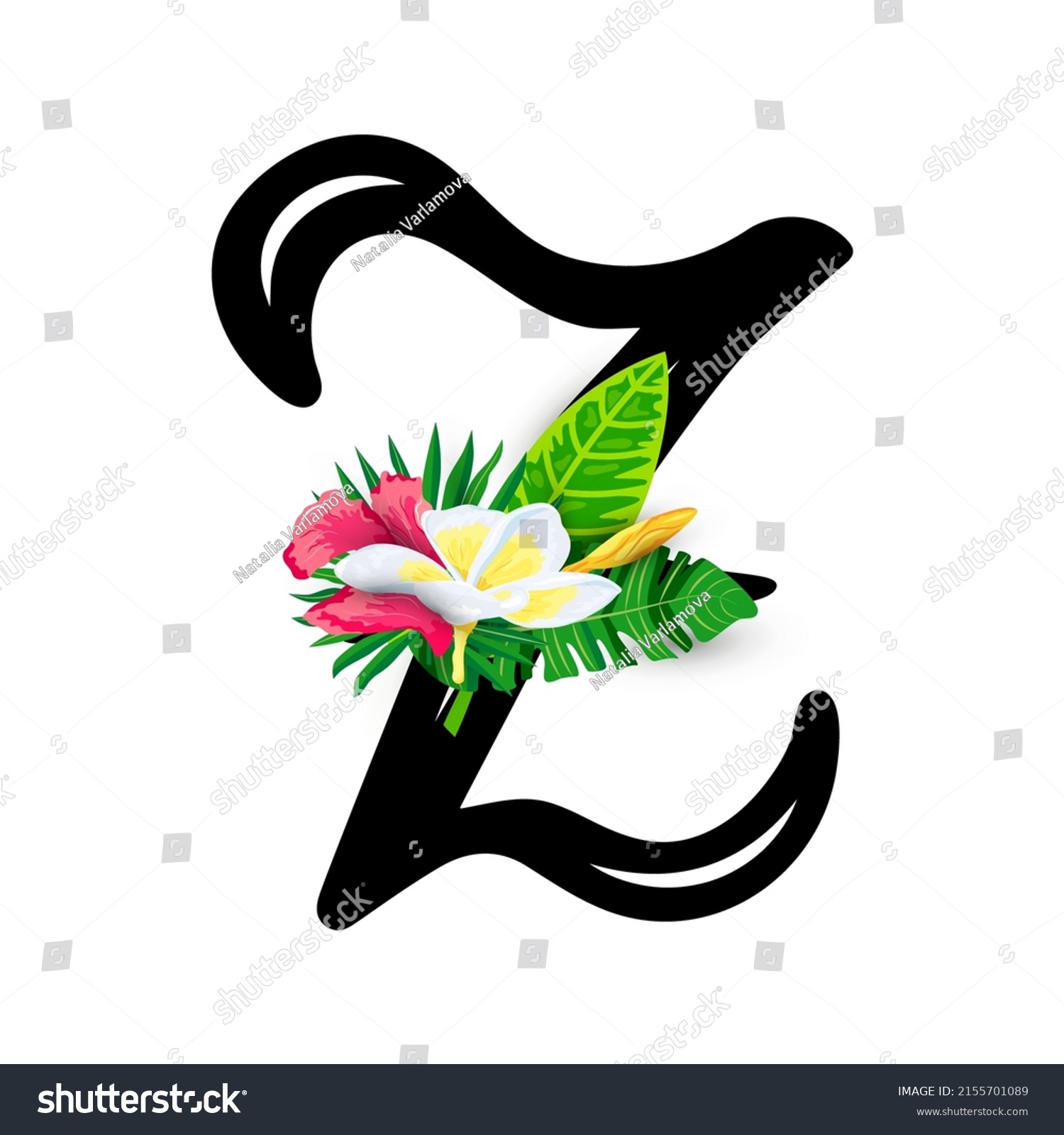 Hand Drawn Letter Z Tropical Leaves Stock Vector (Royalty Free ... Hand Drawn Letter Z Tropical Leaves Stock Vector (Royalty Free ...