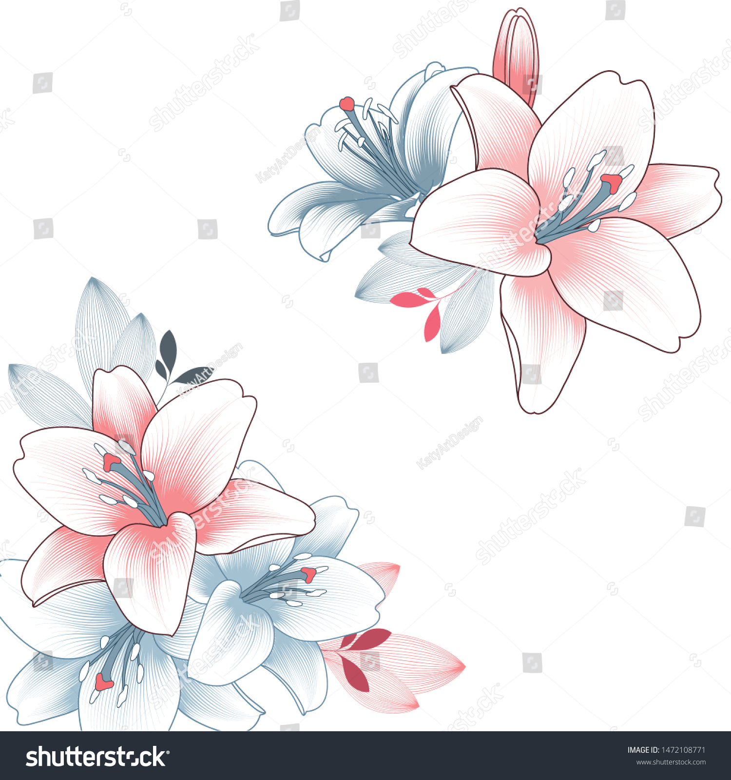 Handdrawn Lily Flower Vector Element Design Stock Vector (Royalty Free ...