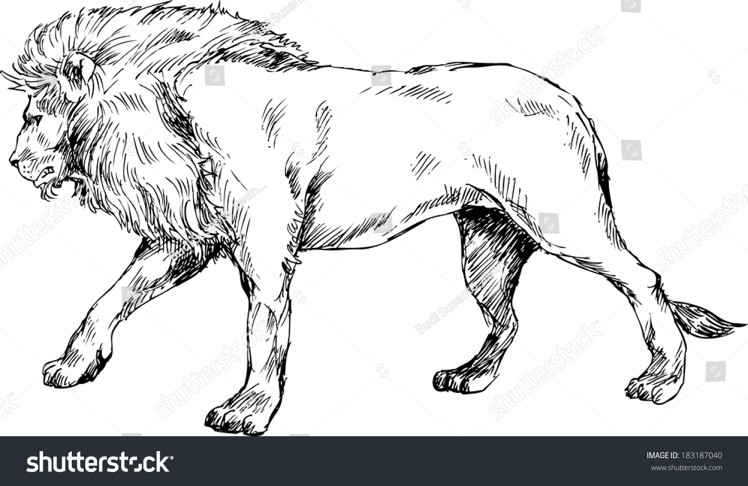 Hand Drawn Lion Stock Vector (Royalty Free) 183187040 | Shutterstock