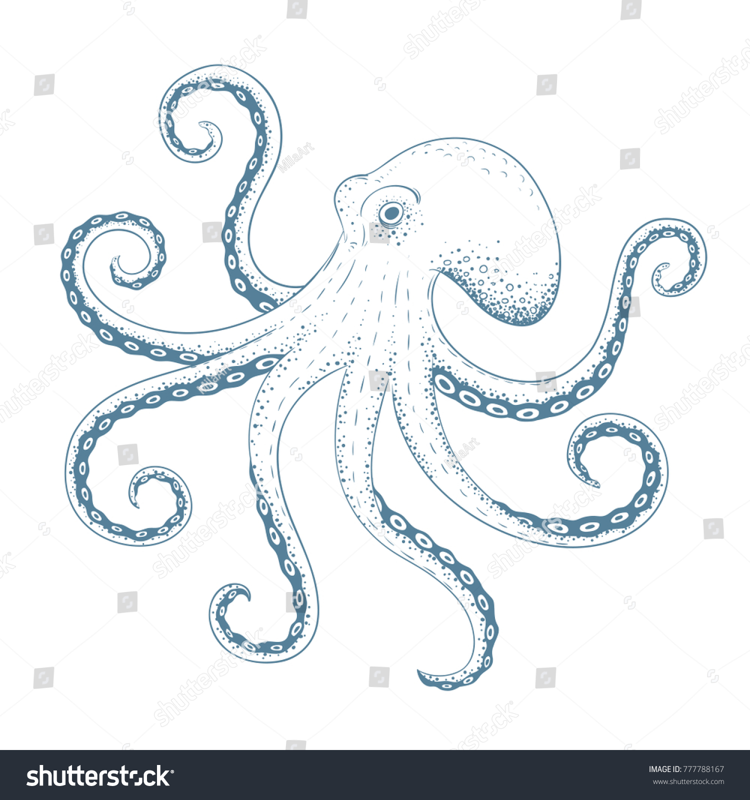 17,051 Doodle octopus Images, Stock Photos & Vectors | Shutterstock