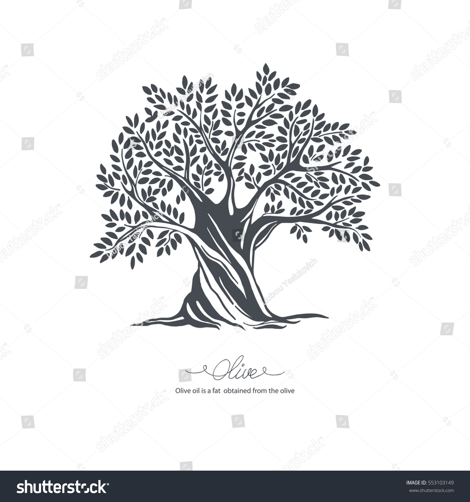 Handdrawn Olive Tree Vector Sketch Illustration Stock Vector 553103149 ...