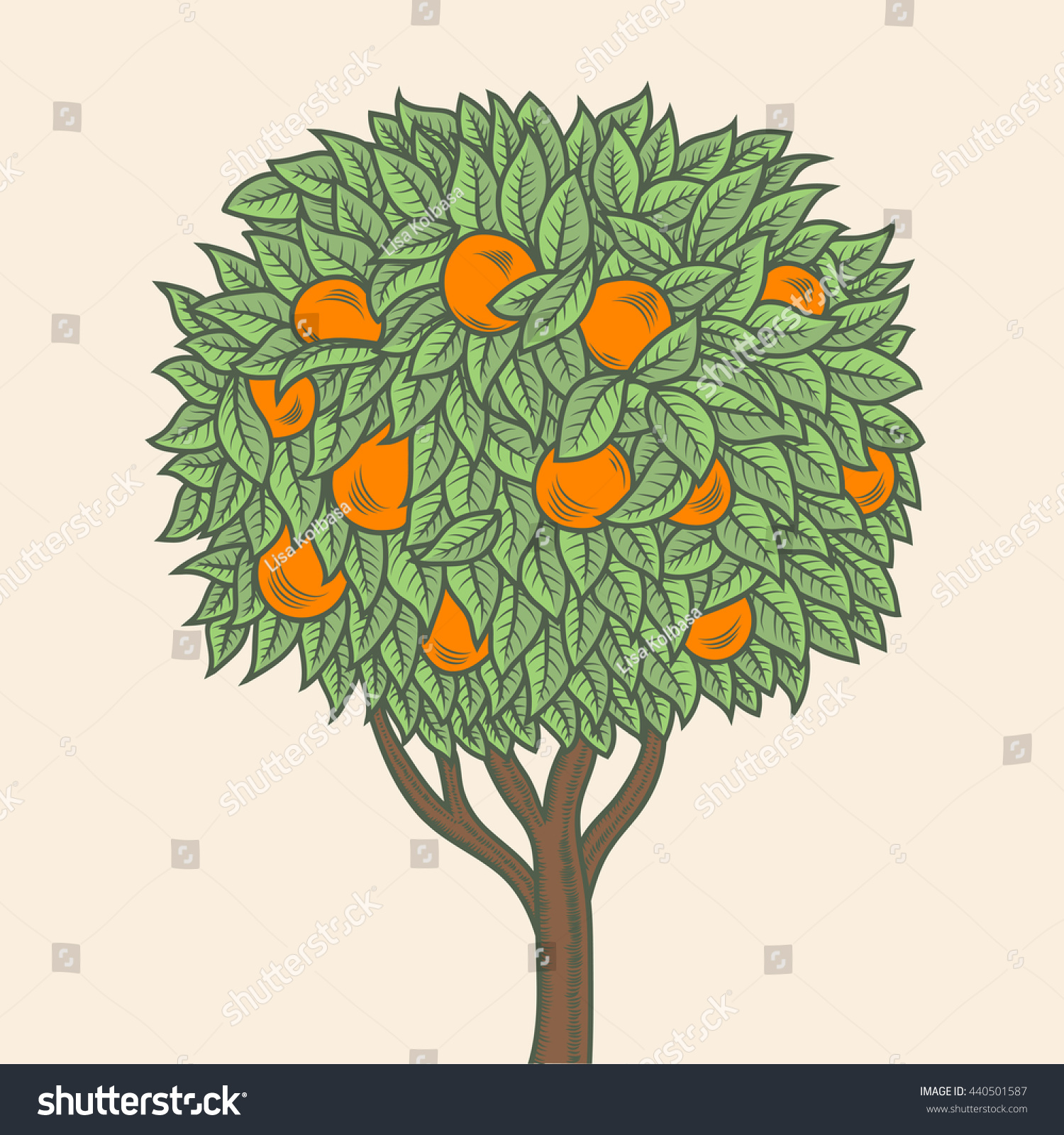Hand Drawn Orange Tree Vector Illustration Stock Vector (Royalty Free ...