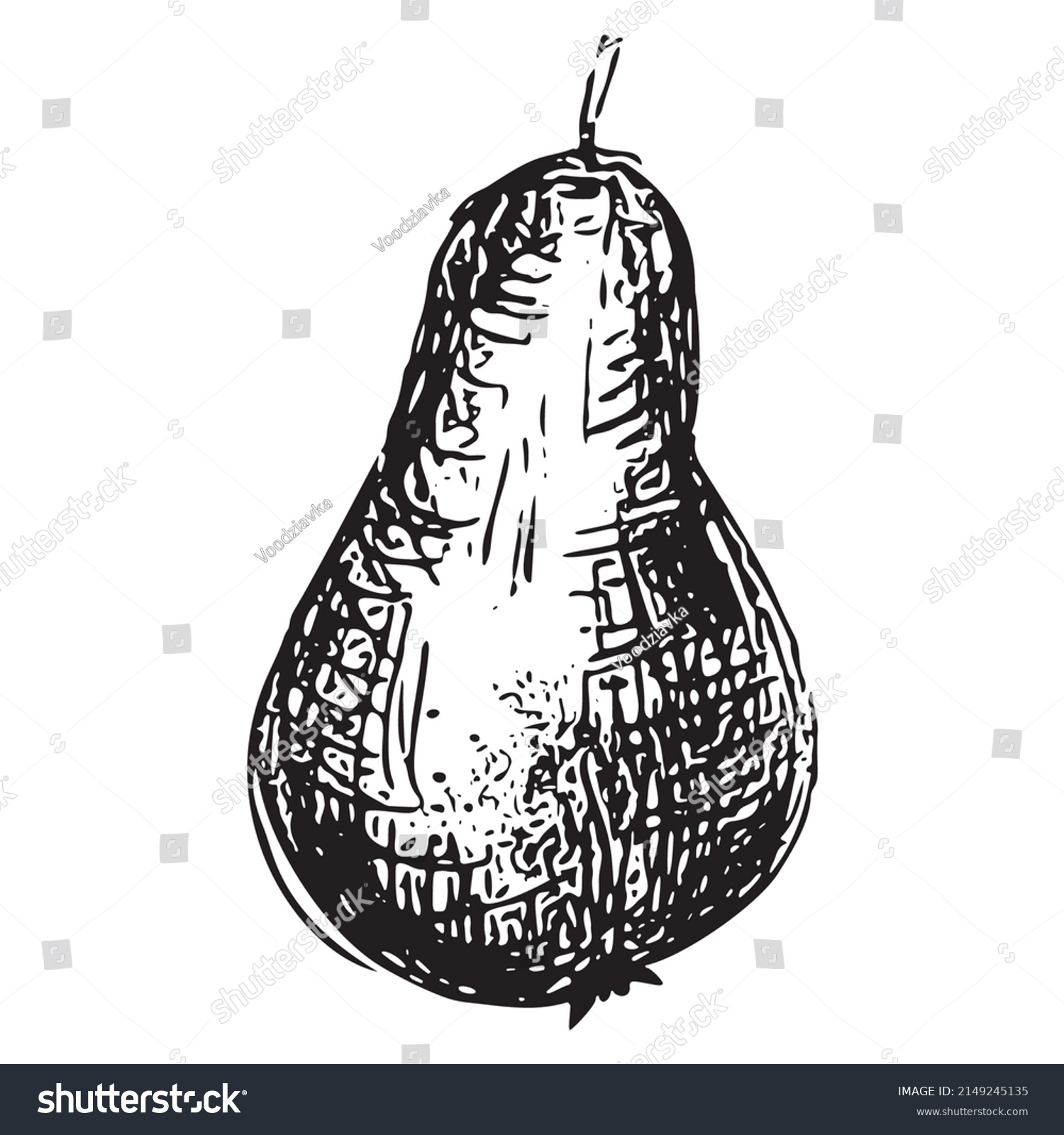 Hand Drawn Pear Sketch Vector Element Stock Vector (Royalty Free ...