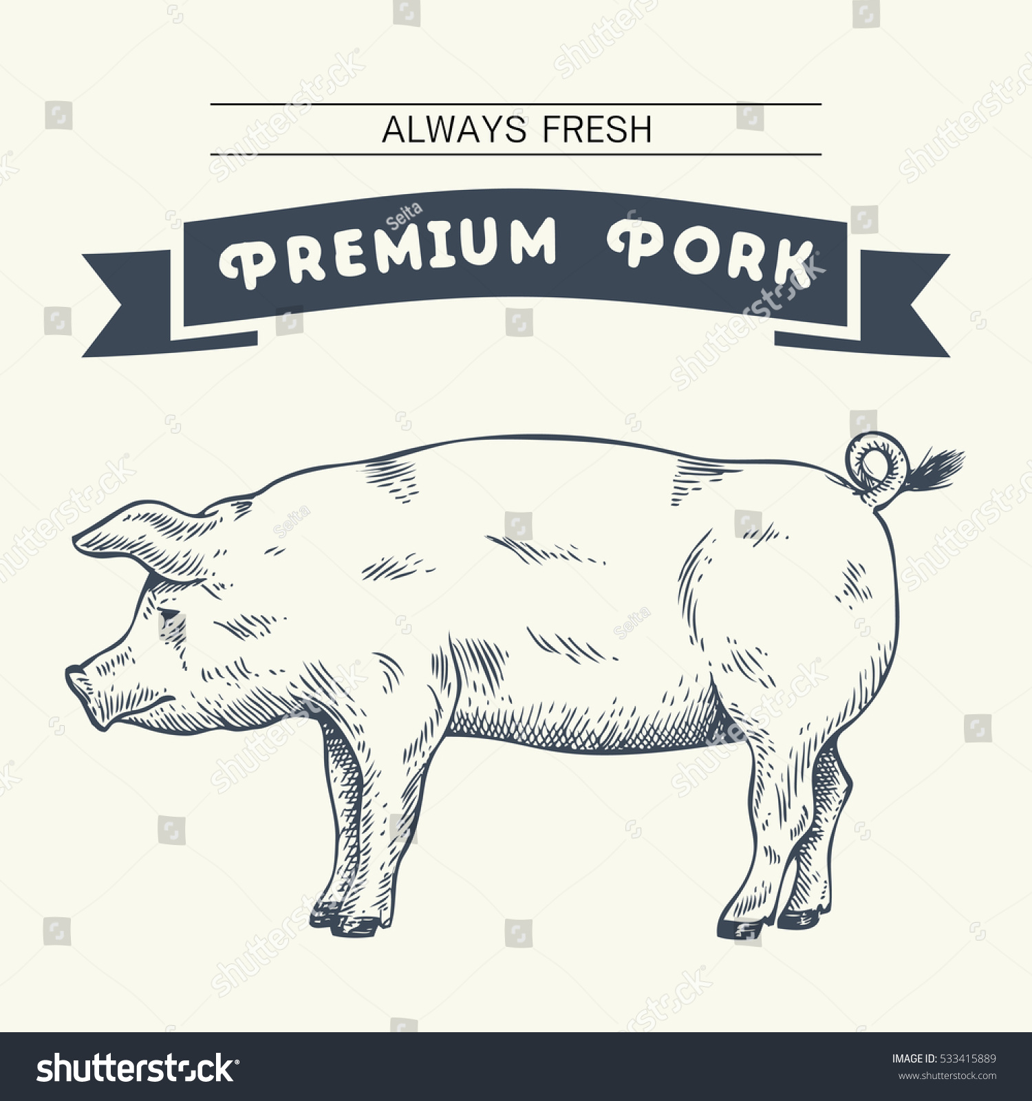 Hand Drawn Pig Vector Illustration Stock Vector (Royalty Free) 533415889