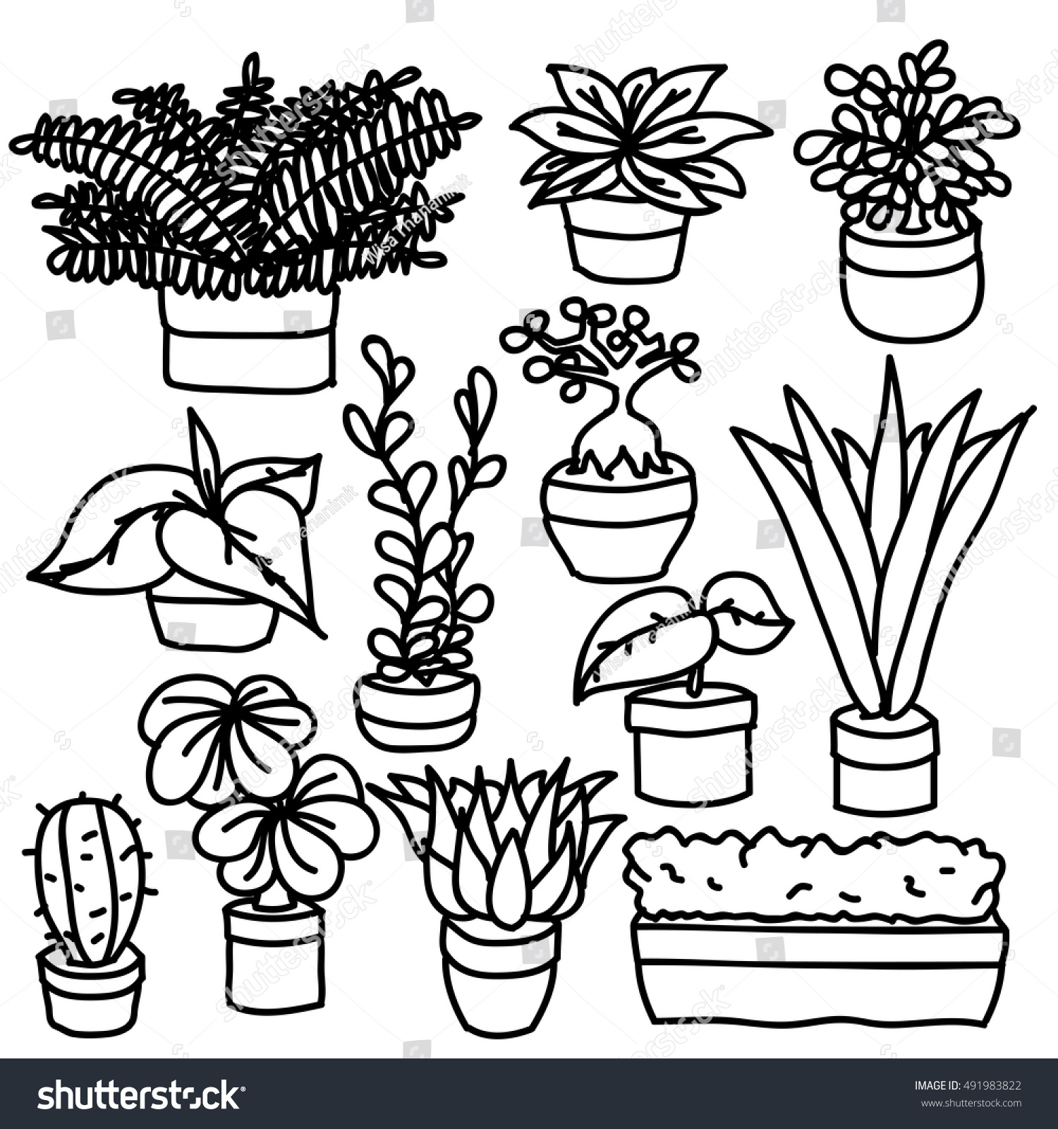 Hand Drawn Pot Plants Vector Set Stock Vector (Royalty Free) 491983822