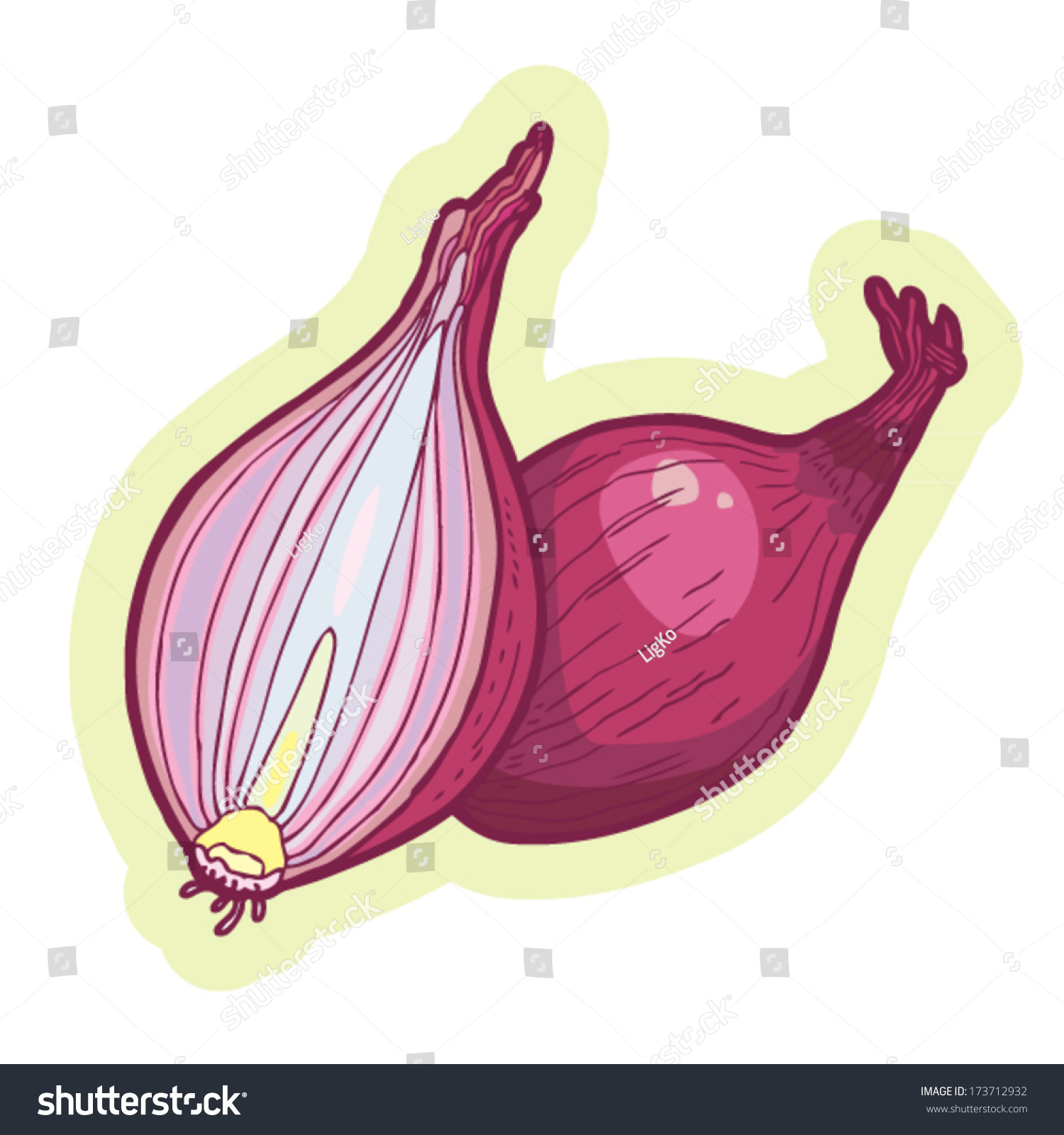Hand Drawn Red Onion Cartoon Vector. - 173712932 : Shutterstock