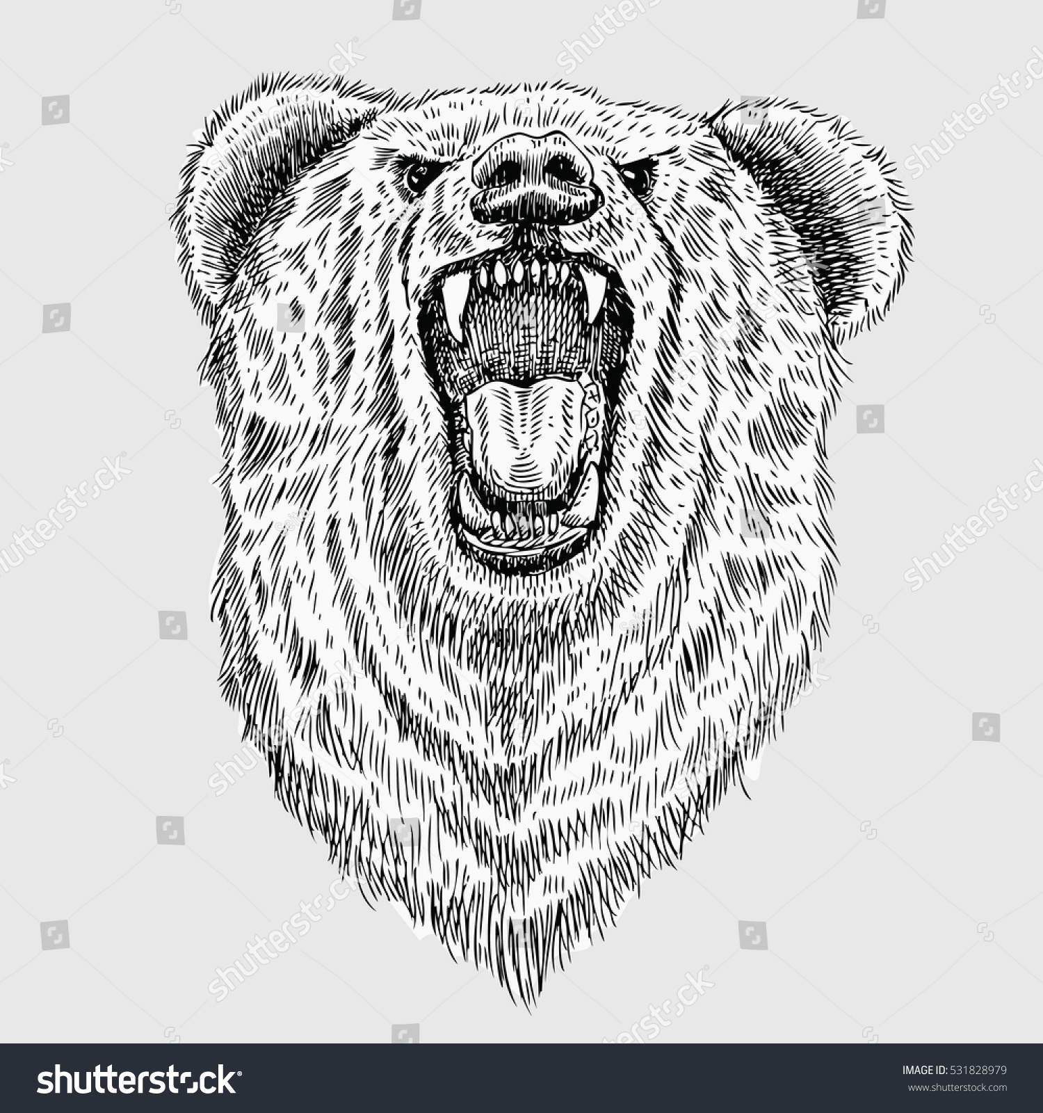 Hand Drawn Roaring Bear Head Vector Stock Vector (Royalty Free ...