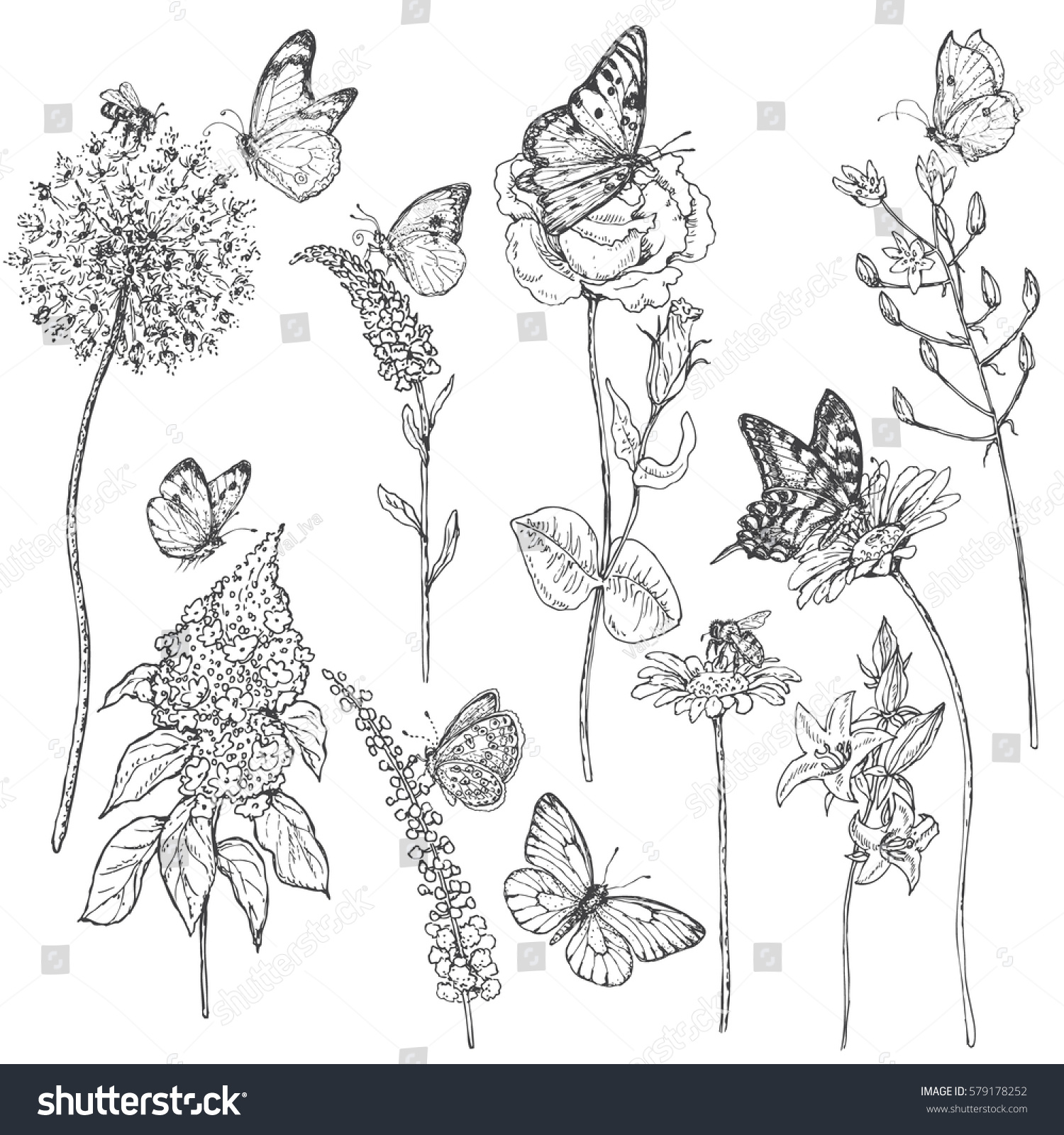 Hand Drawn Set Butterflies Bees Wildflowers: vector de stock (libre de ...