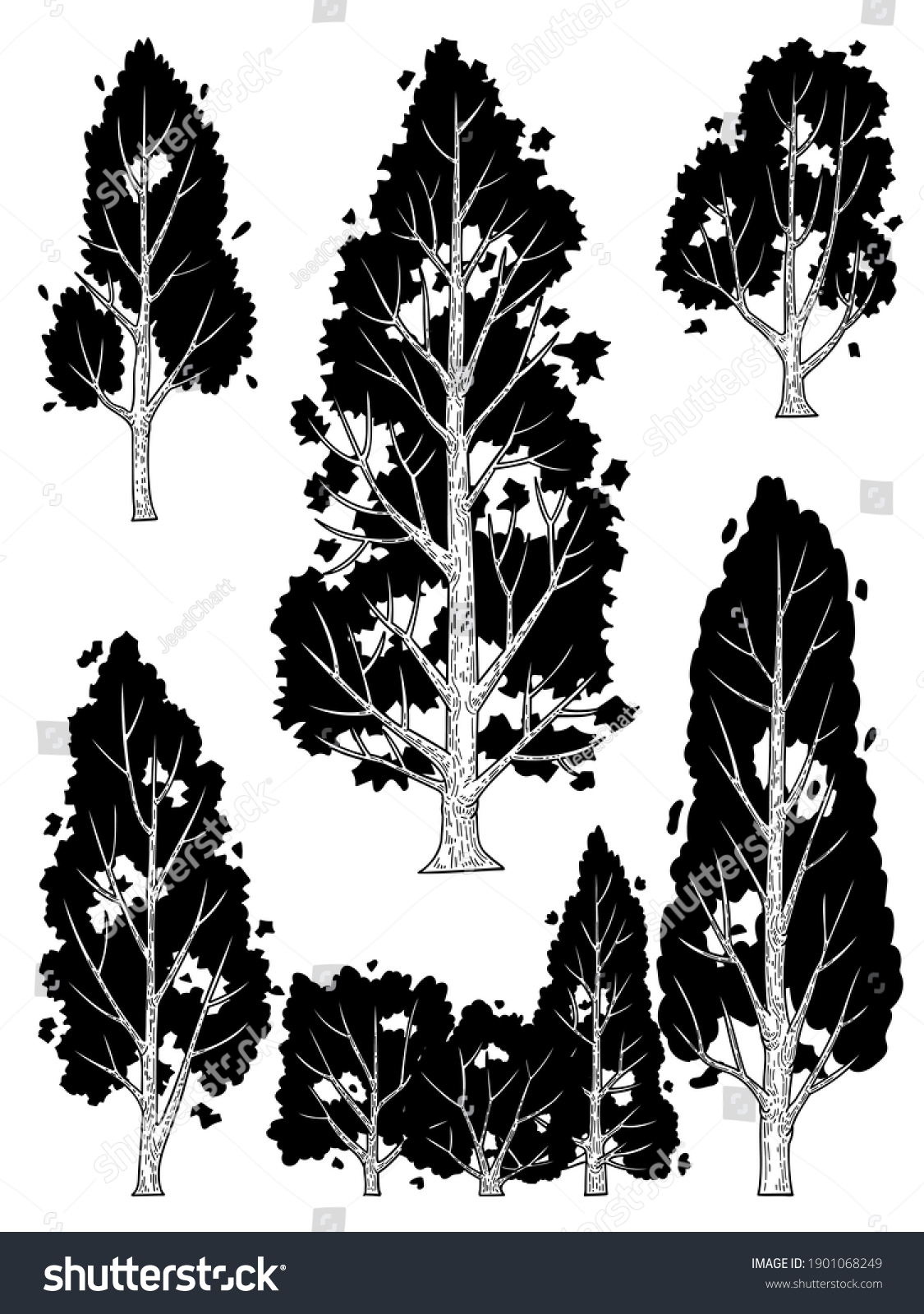 Hand Drawn Side View Tree Vector Stock Vector (Royalty Free) 1901068249