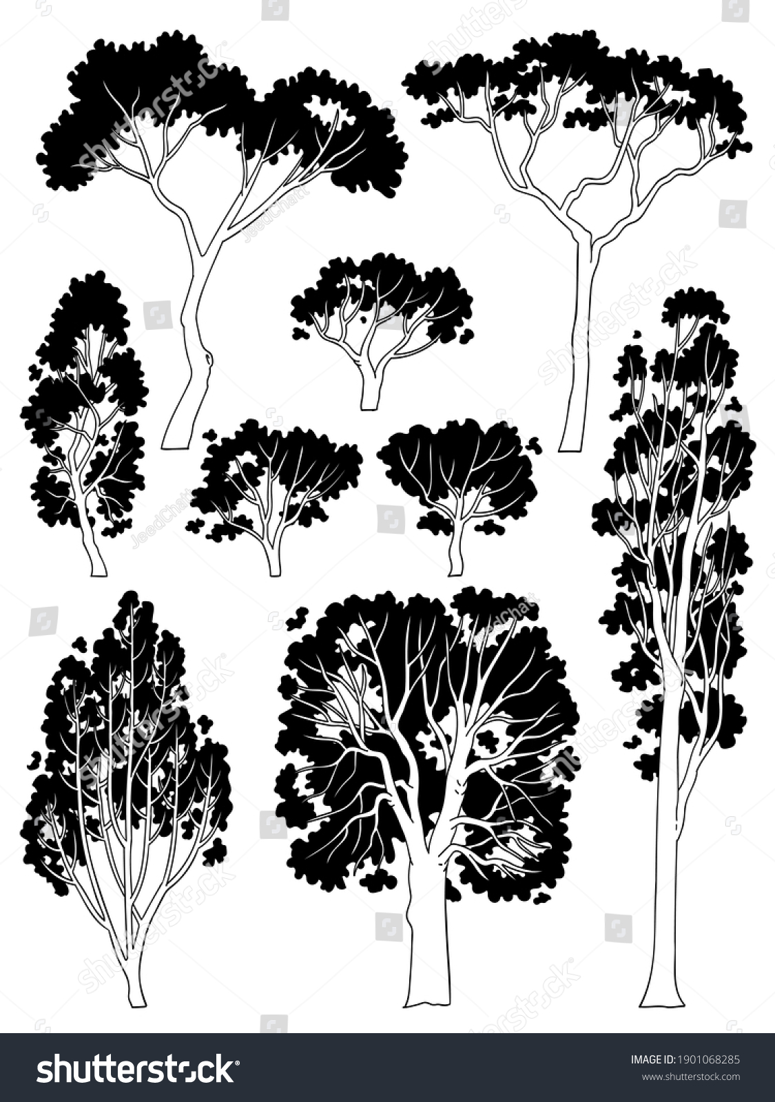 16,551 Plants elevation Images, Stock Photos & Vectors | Shutterstock