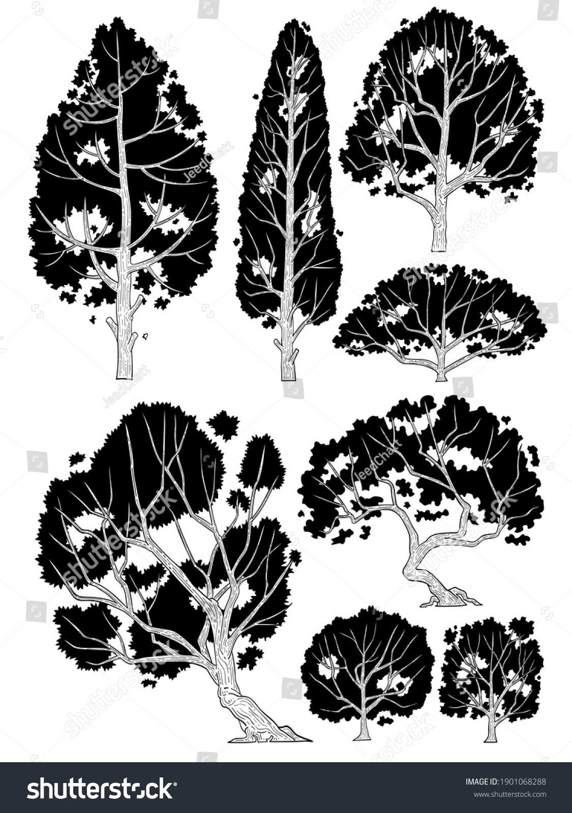 Hand Drawn Side View Tree Vector Stock Vector (Royalty Free) 1901068288 ...