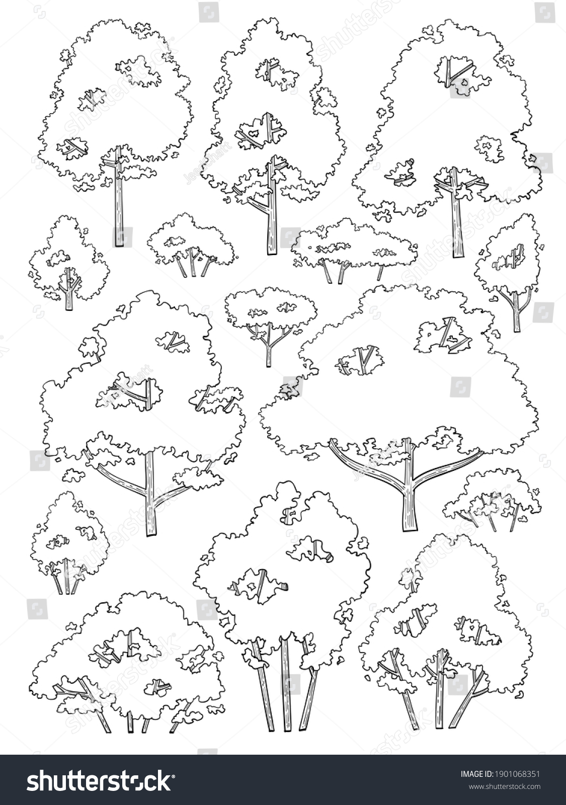 Hand Drawn Side View Tree Vector Stock Vector (Royalty Free) 1901068351 ...