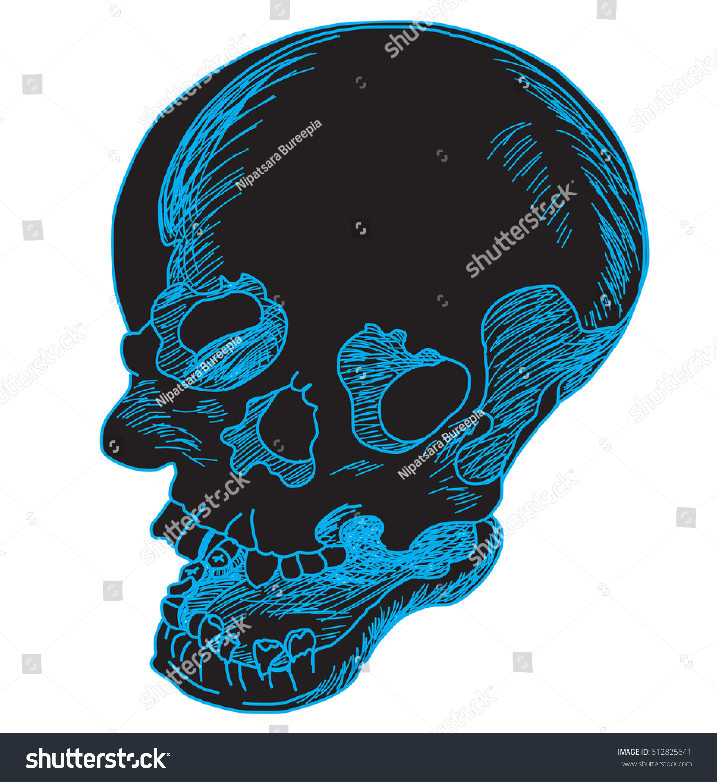 Hand Drawn Skull Vector Stock Vector (Royalty Free) 612825641 ...