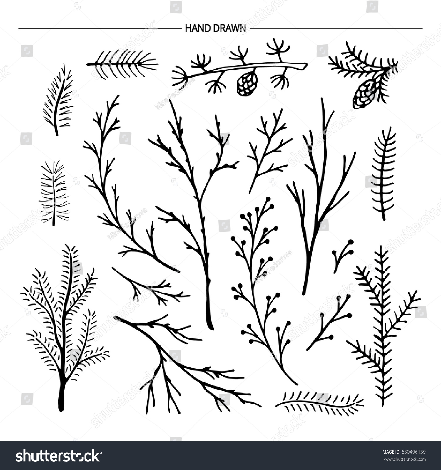 Hand Drawn Tree Branches Collection Vector Stock Vector (Royalty Free ...