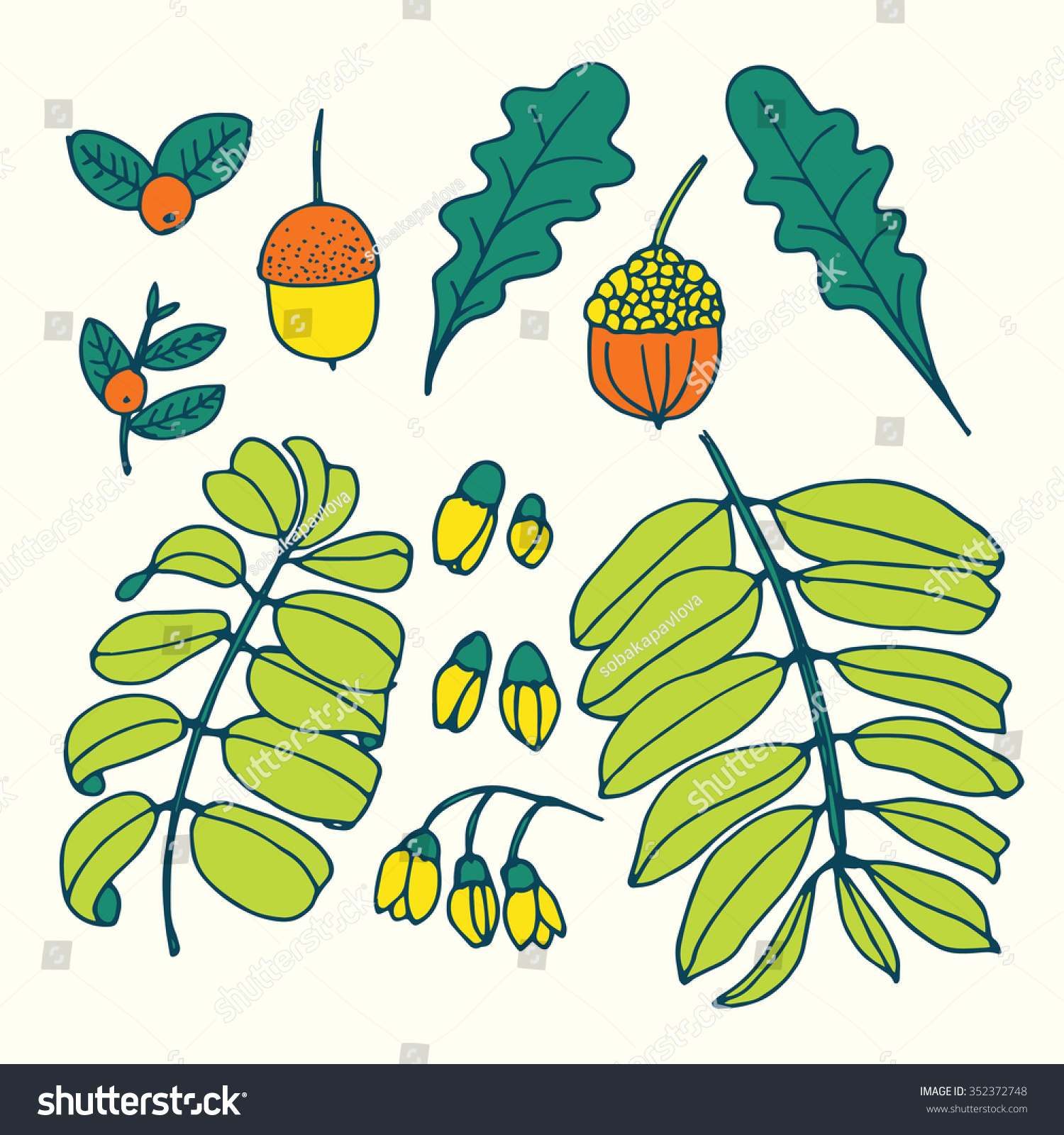 Hand Drawn Tree Leaves Vector Set Stock Vector (Royalty Free) 352372748 ...