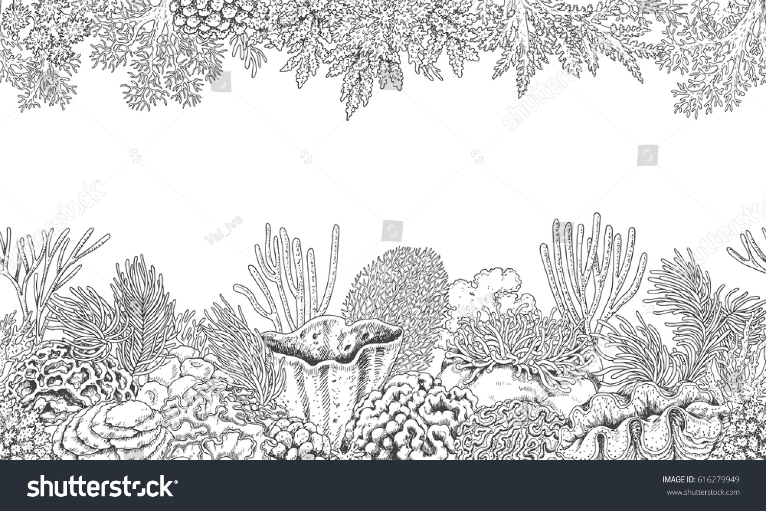 9,761 Bottom ocean drawing Images, Stock Photos & Vectors | Shutterstock