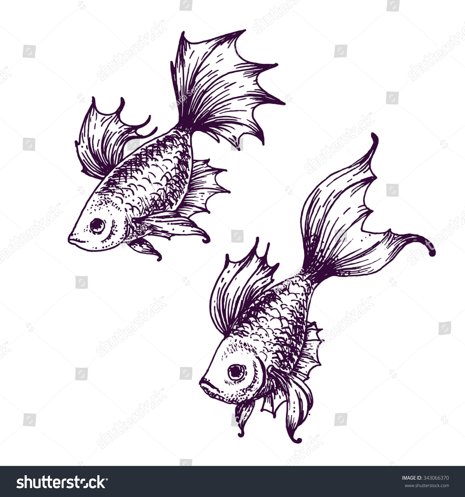 Hand Drawn Vector Fish Sketch Stock Vector 343066370 - Shutterstock
