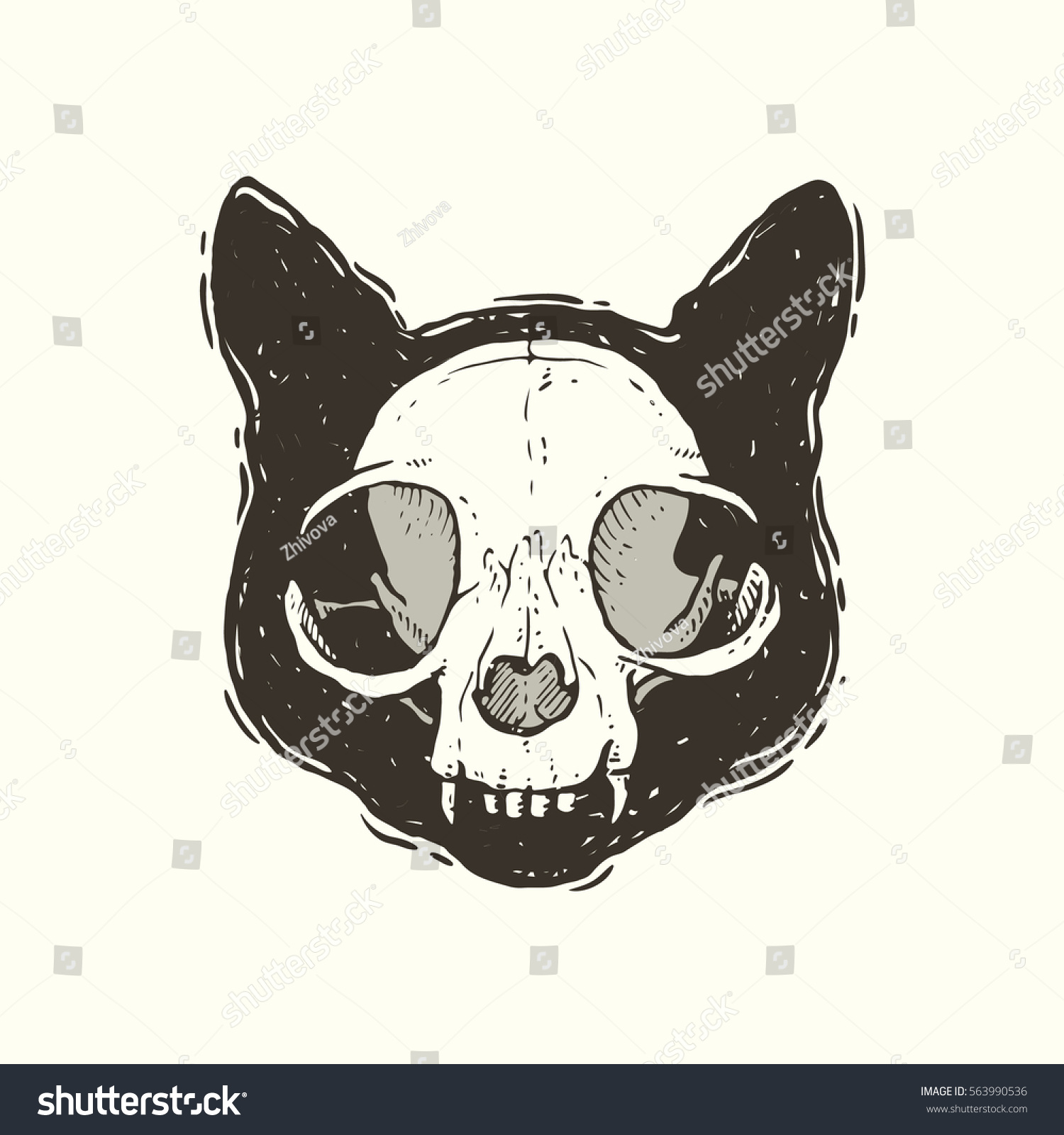 Hand Drawn Vector Grunge Illustration Cat: vector de stock (libre de ... Hand Drawn Vector Grunge Illustration Cat: vector de stock (libre de ...