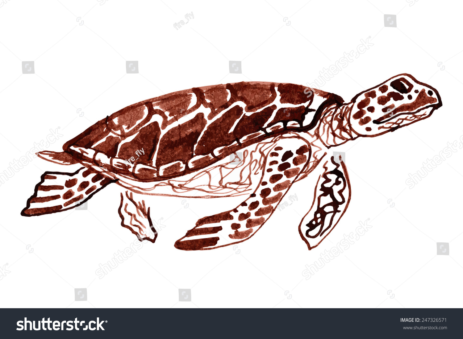 Hand Drawn Vector Turtle Ink Realistic: เวกเตอร์สต็อก (ปลอดค่าลิขสิทธิ์ ...