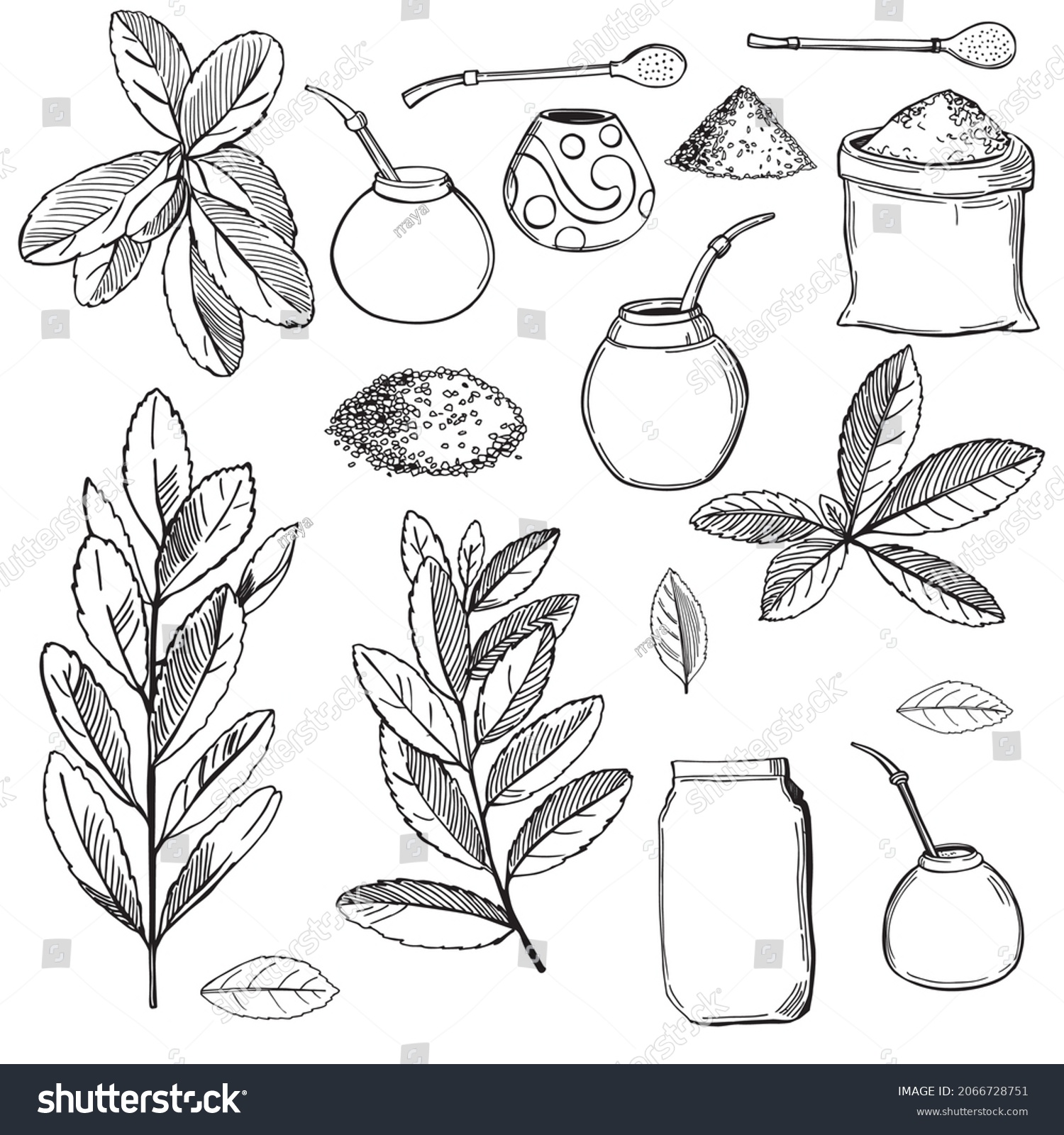 Handdrawn Yerba Mate Set Vector Sketch Stock Vector (Royalty Free ...