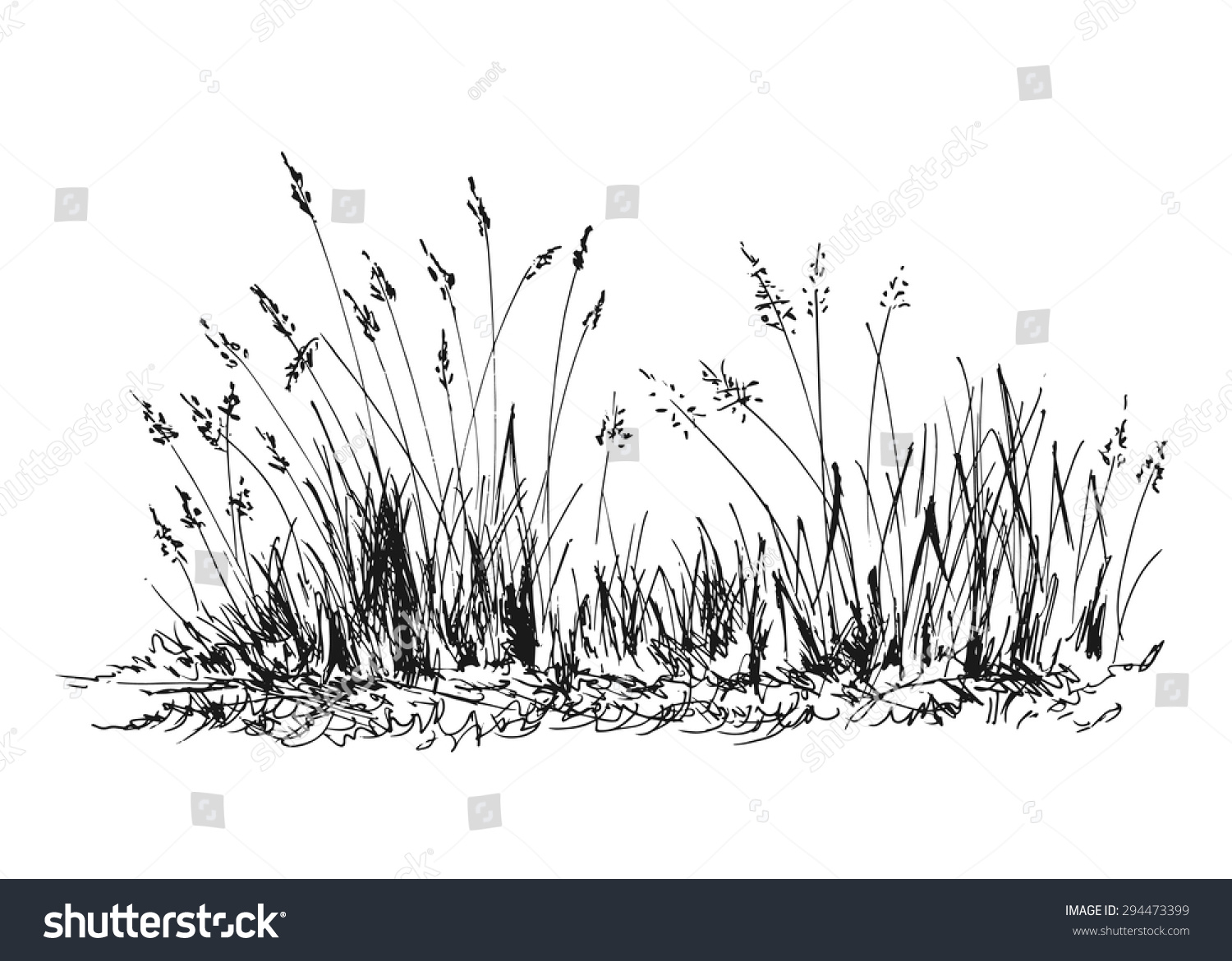 Hand Sketch Grass Stock Vector (Royalty Free) 294473399