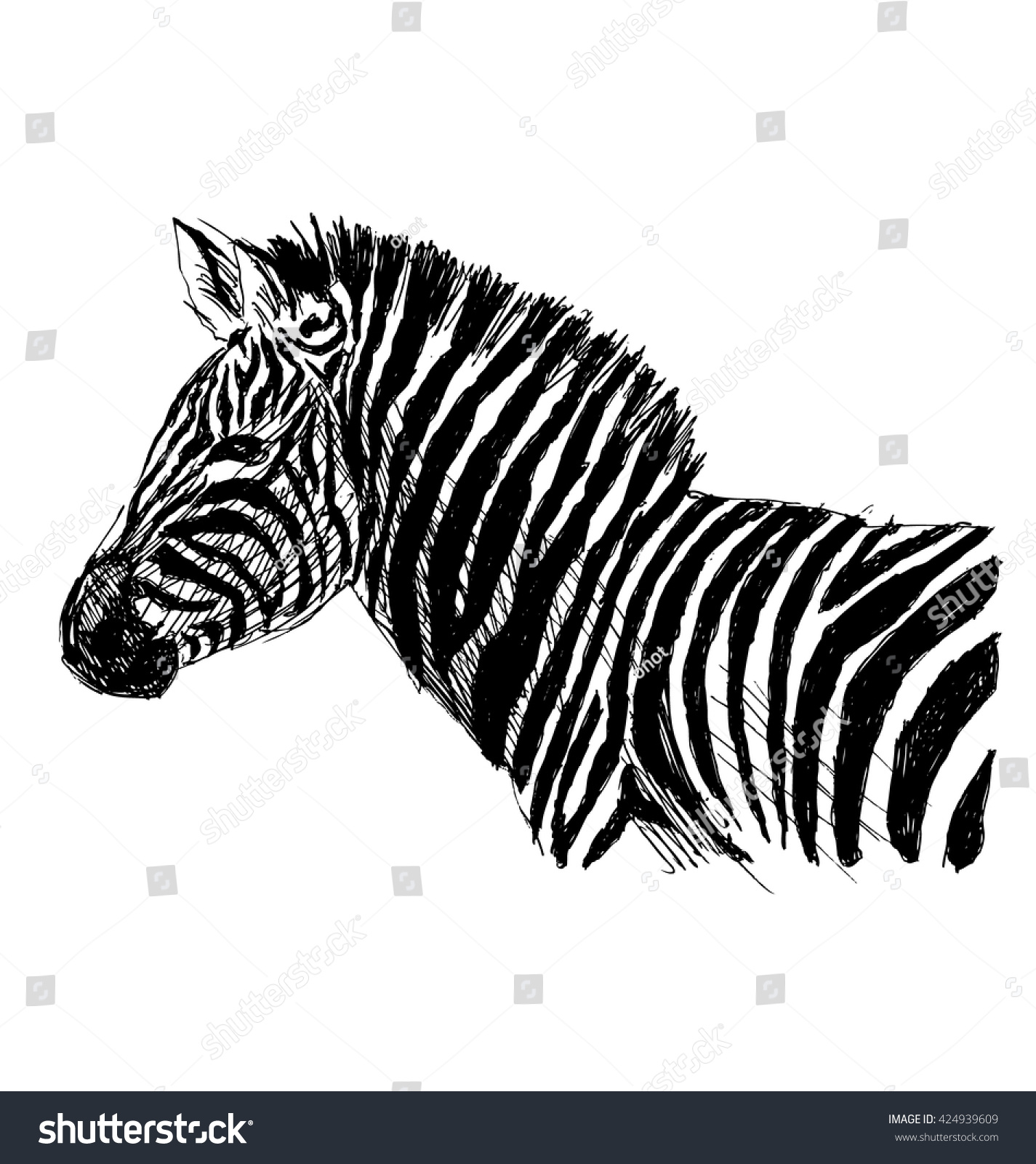 Hand Sketch Zebra Side Vector Illustration Stock Vector (Royalty Free ...