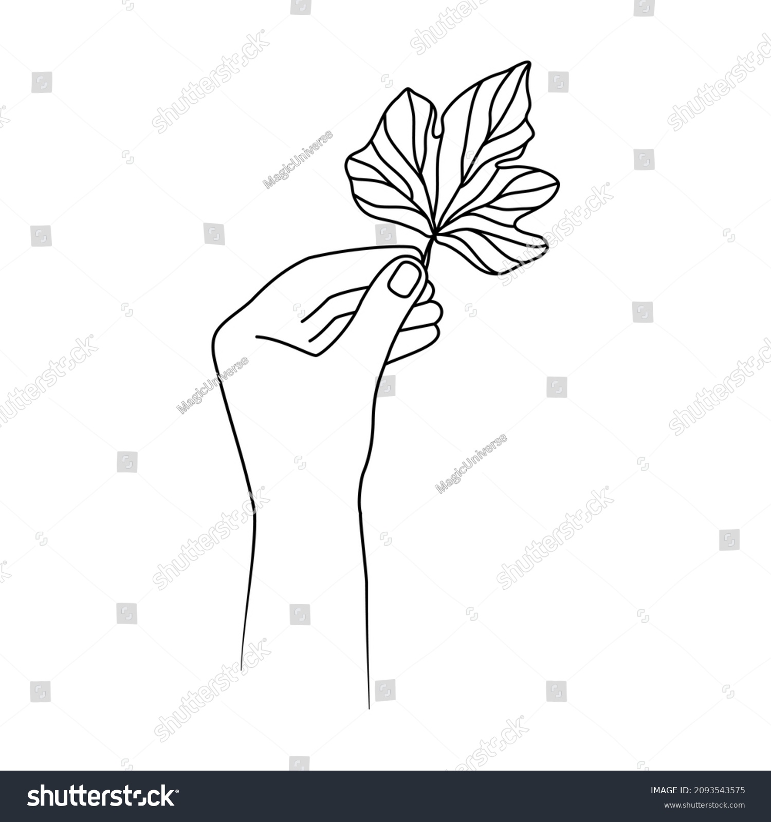 Hand Leaflet Line Drawing Vector Illustration Stock Vector (Royalty ...