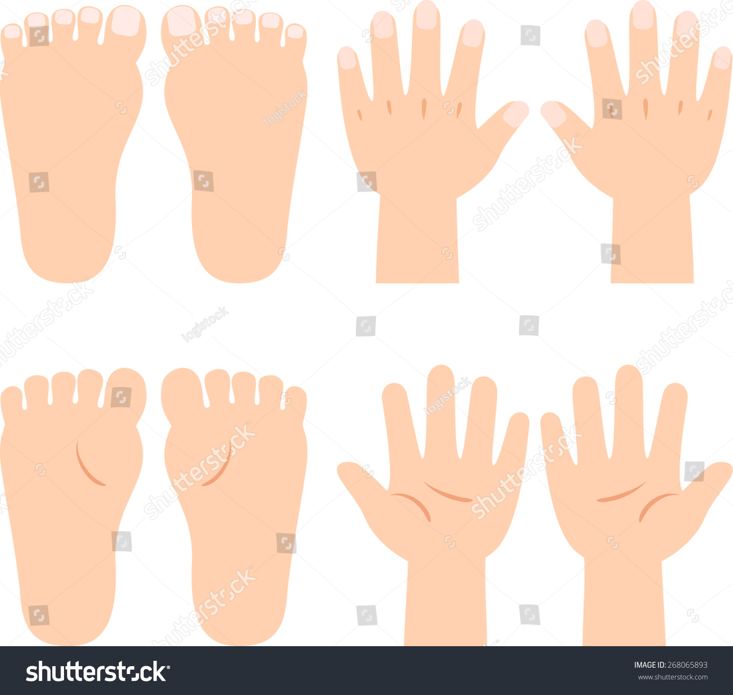 451 Left hand right foot Images, Stock Photos & Vectors | Shutterstock