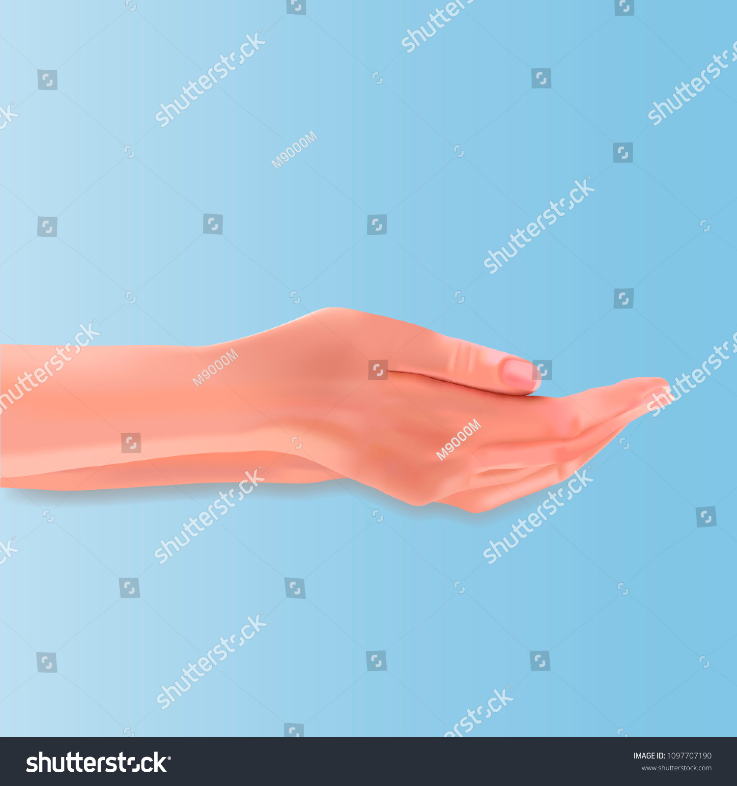 Hands Realism Vector Illustration Stock Vector (Royalty Free ...