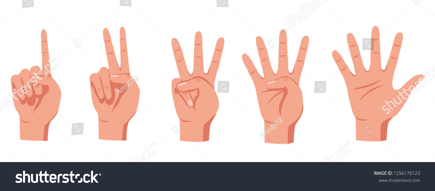Hands Set Different Number Gestures Isolated: เวกเตอร์สต็อก (ปลอดค่า ...