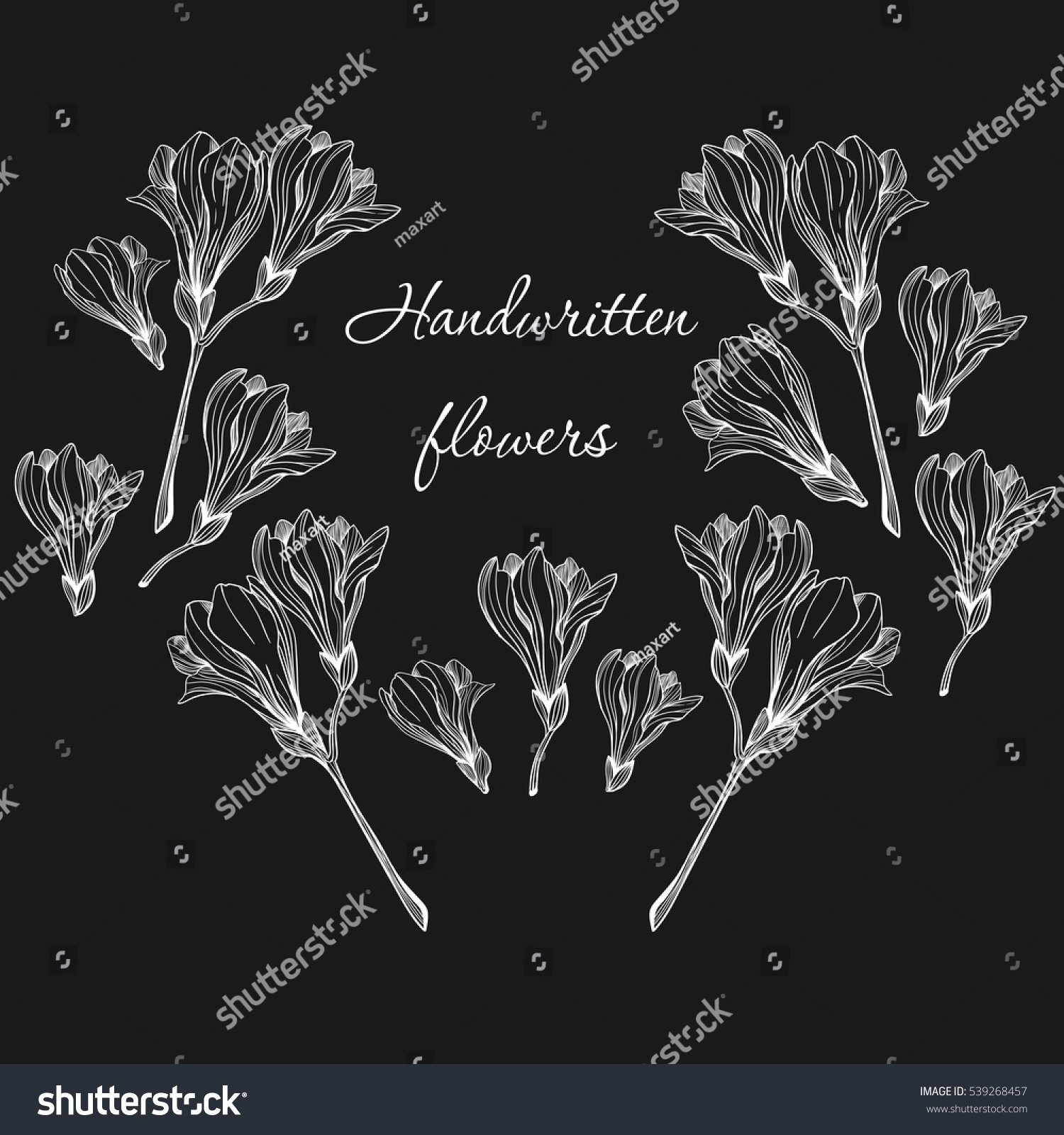 Handwritten Flowers Stock Vector 539268457 - Shutterstock
