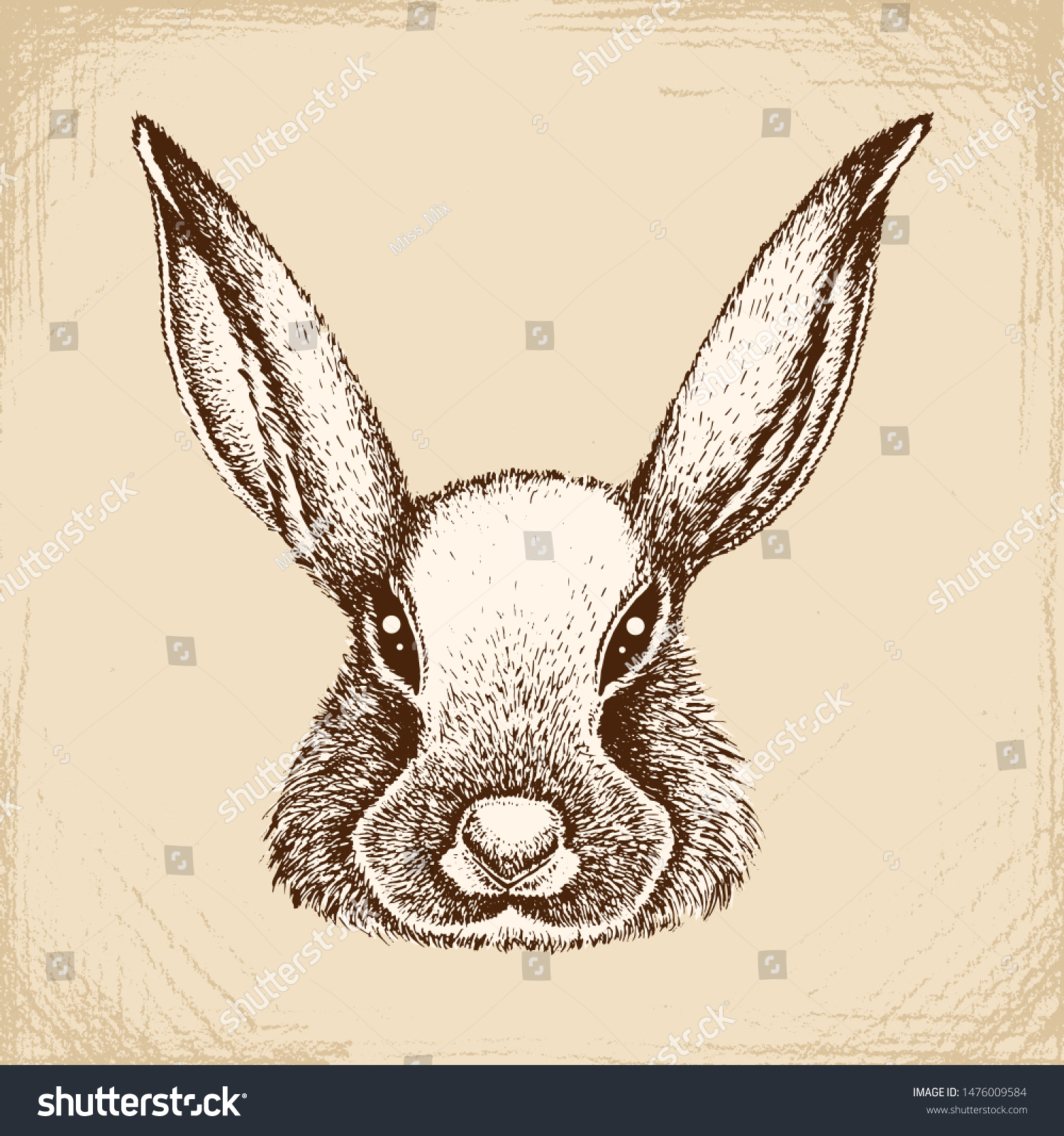 Hare Ink Drawing Vector Illustration Stock Vector (Royalty Free) 1476009584