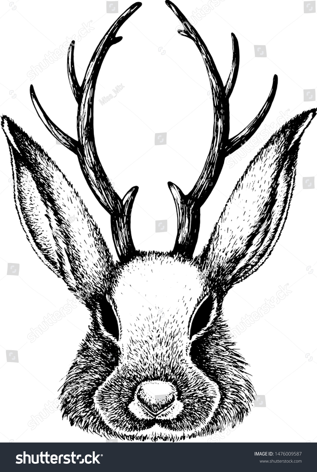 Vektor Stok Hare Ink Drawing Vector Illustration (Tanpa Royalti ...