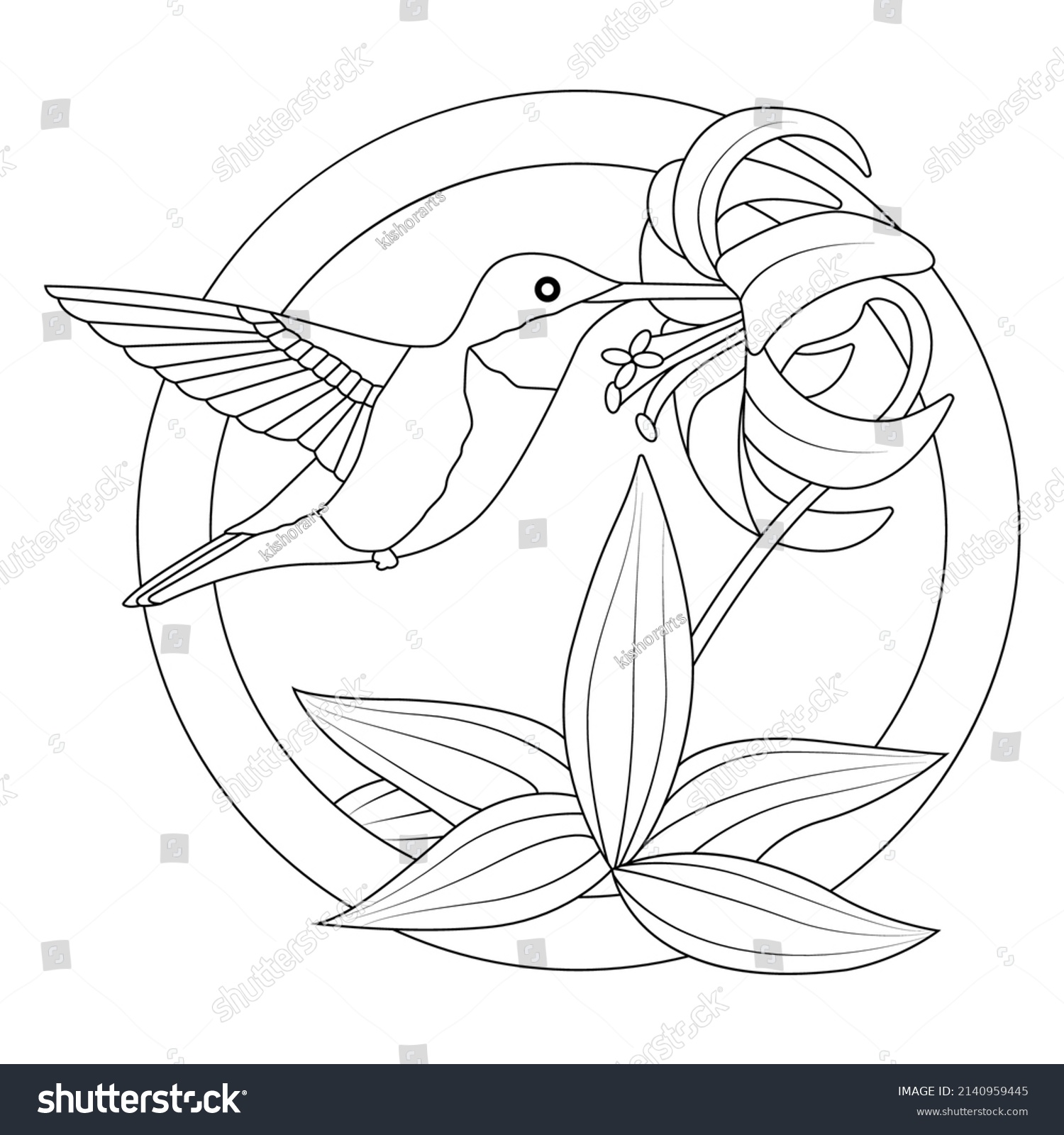 6,090 Hummingbird outlines Images, Stock Photos & Vectors | Shutterstock