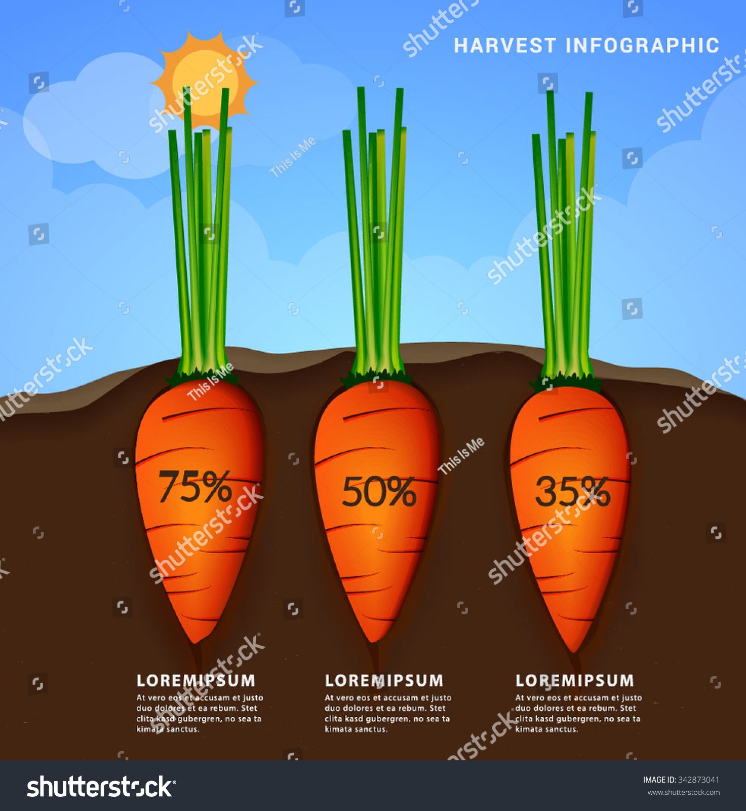 Harvest Chart Vegetable Infographic Stock Vector (Royalty Free ...
