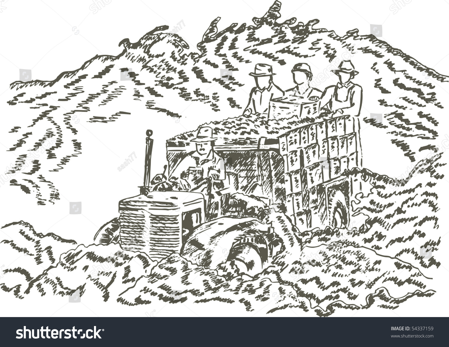 Harvesting Hand Drawing Stock Vector (Royalty Free) 54337159 | Shutterstock