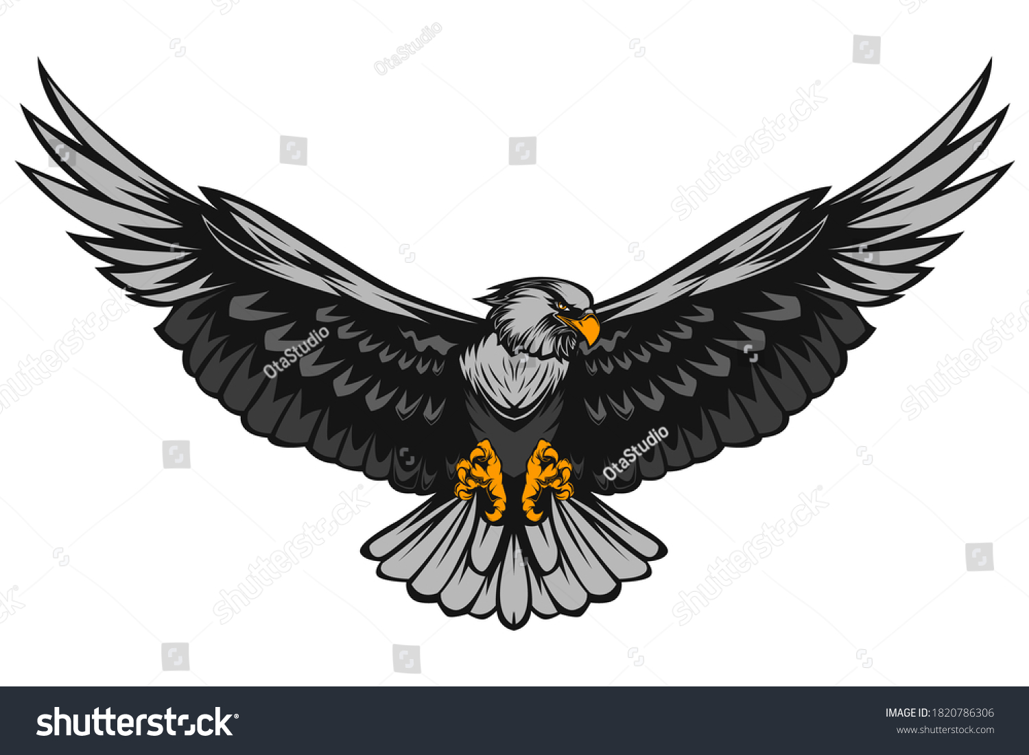 Hawk Flying Attack Vector Illustration Full: เวกเตอร์สต็อก (ปลอดค่า ...