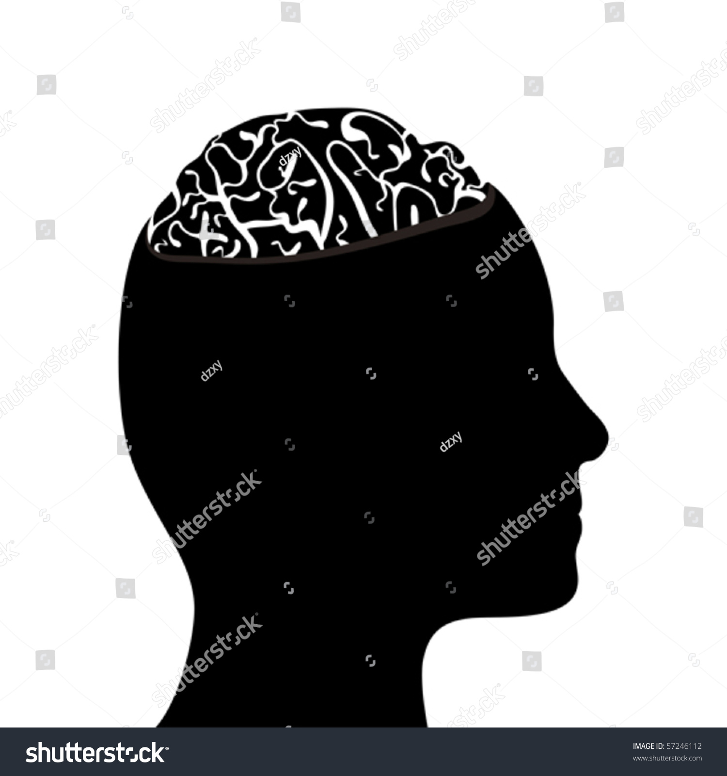 Head Brain Vector Illustration Stock Vector (Royalty Free) 57246112 ...