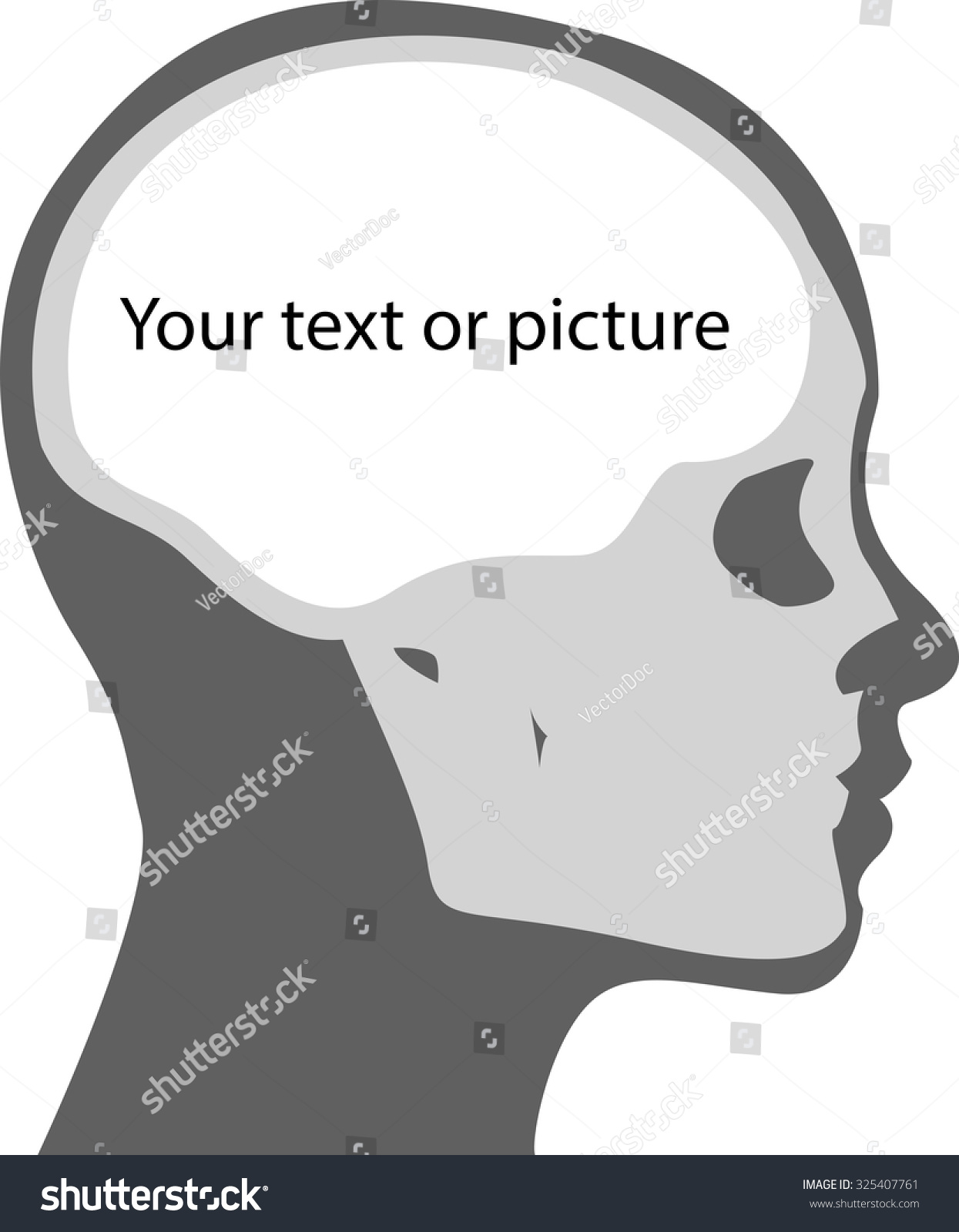 Head Skull Outline Empty Brain Stock Vector (Royalty Free) 325407761