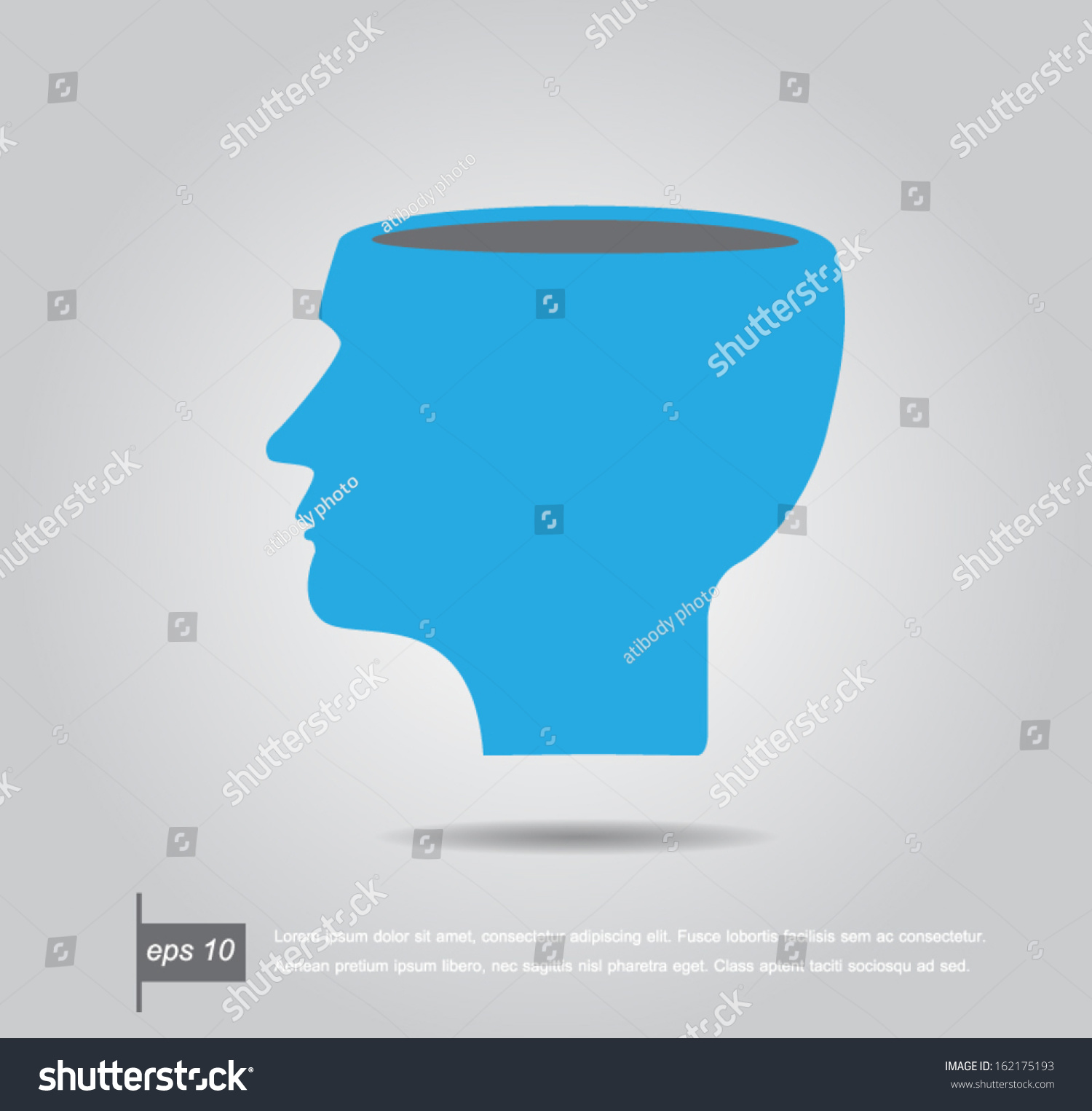 Head Human Blank Vector Stock Vector (Royalty Free) 162175193 ...