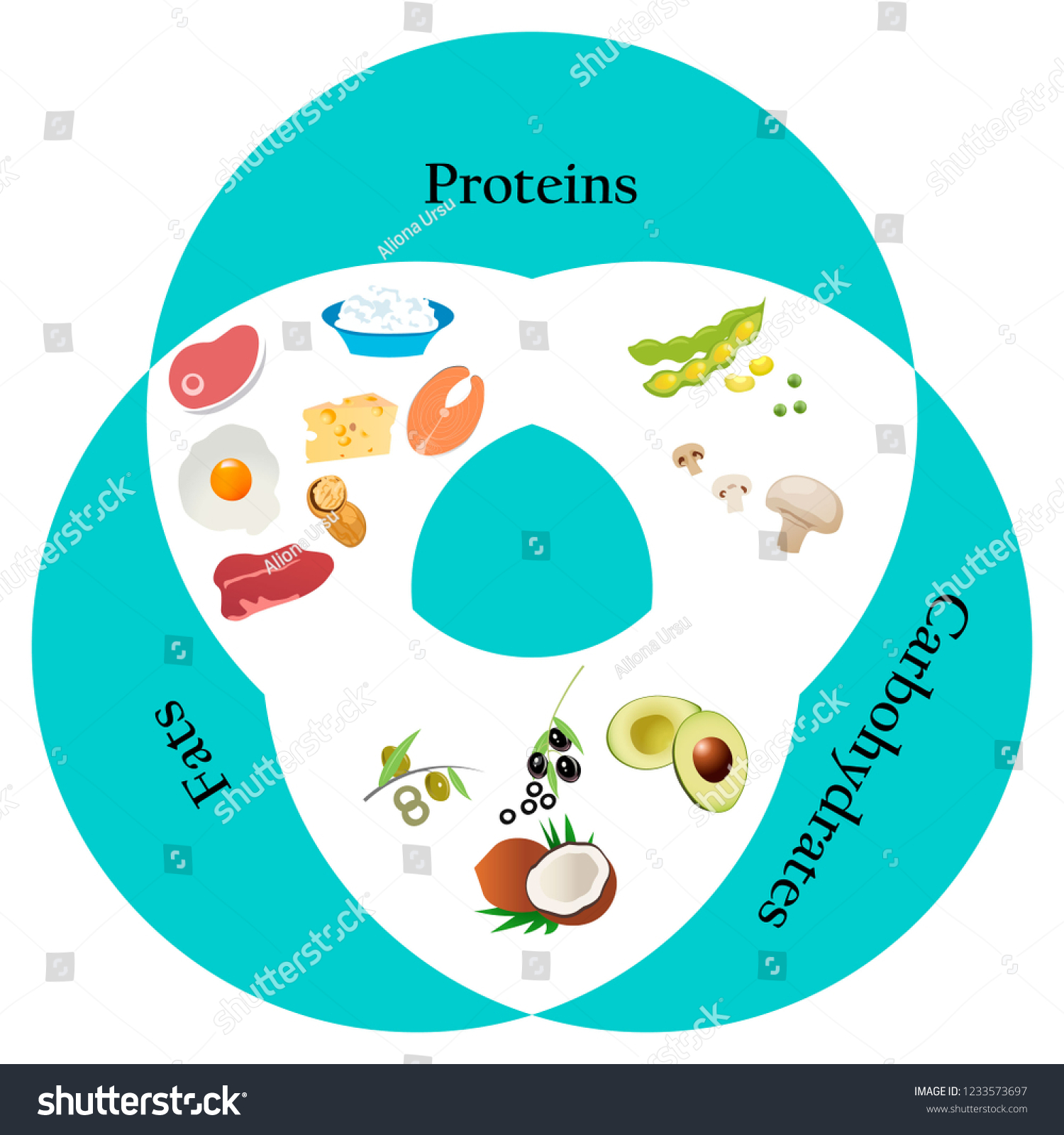 Healthy Nutrition Human Body Food Macronutrients Stock Vector (Royalty ...