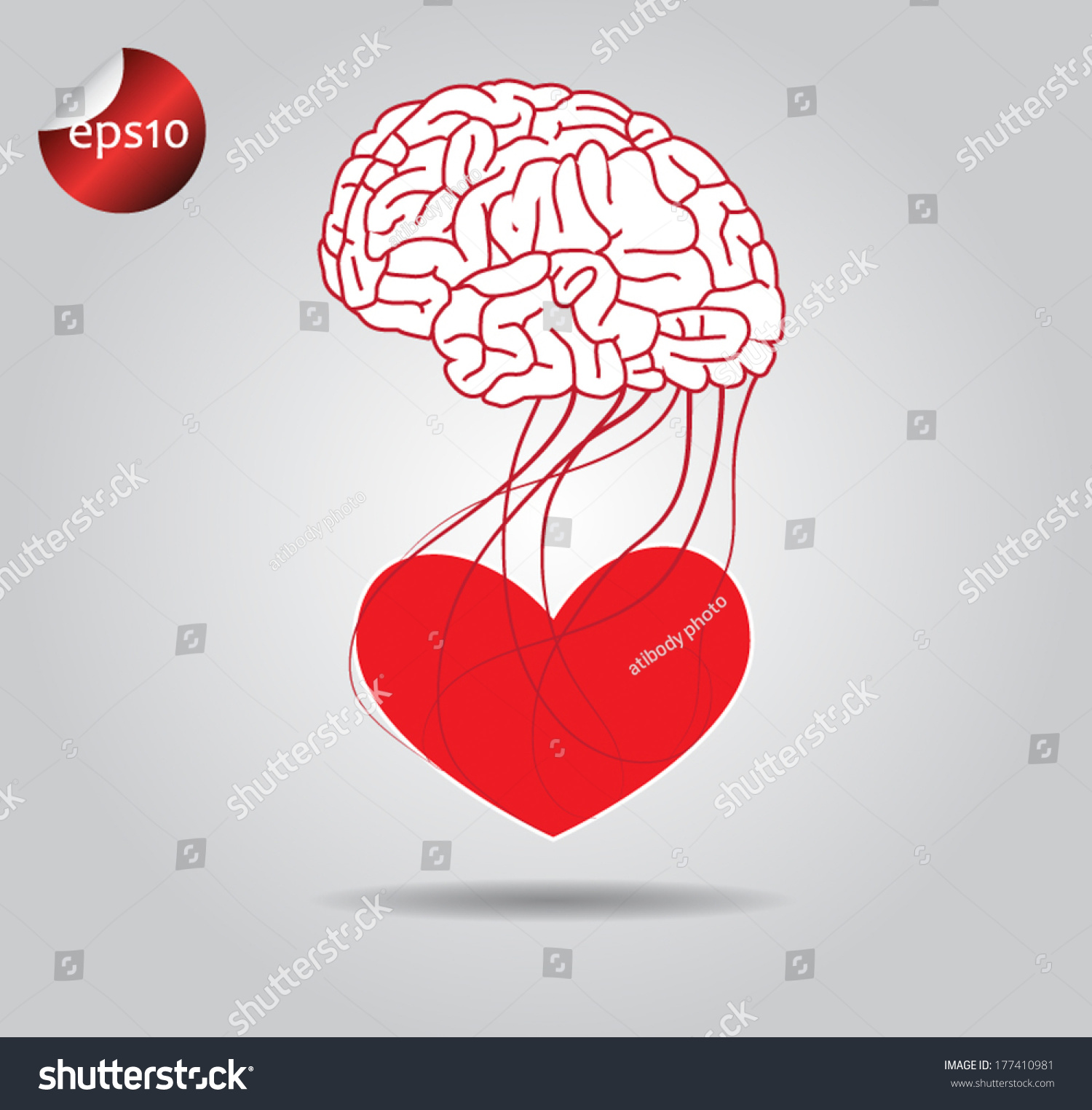 10,287 Human body heart brain Stock Vectors, Images & Vector Art ...