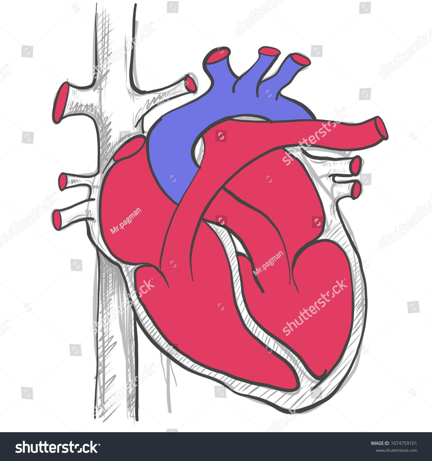 Heart By Hand Drawing Vector Illustrator Stock Vector (Royalty Free ...