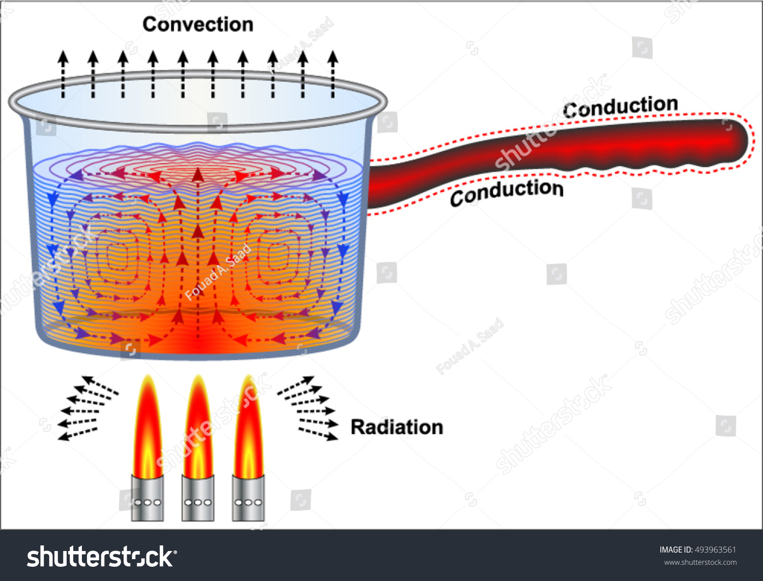 Transfer Designs Heat Transfers Heat Transfer Anchor Chart Science ...
