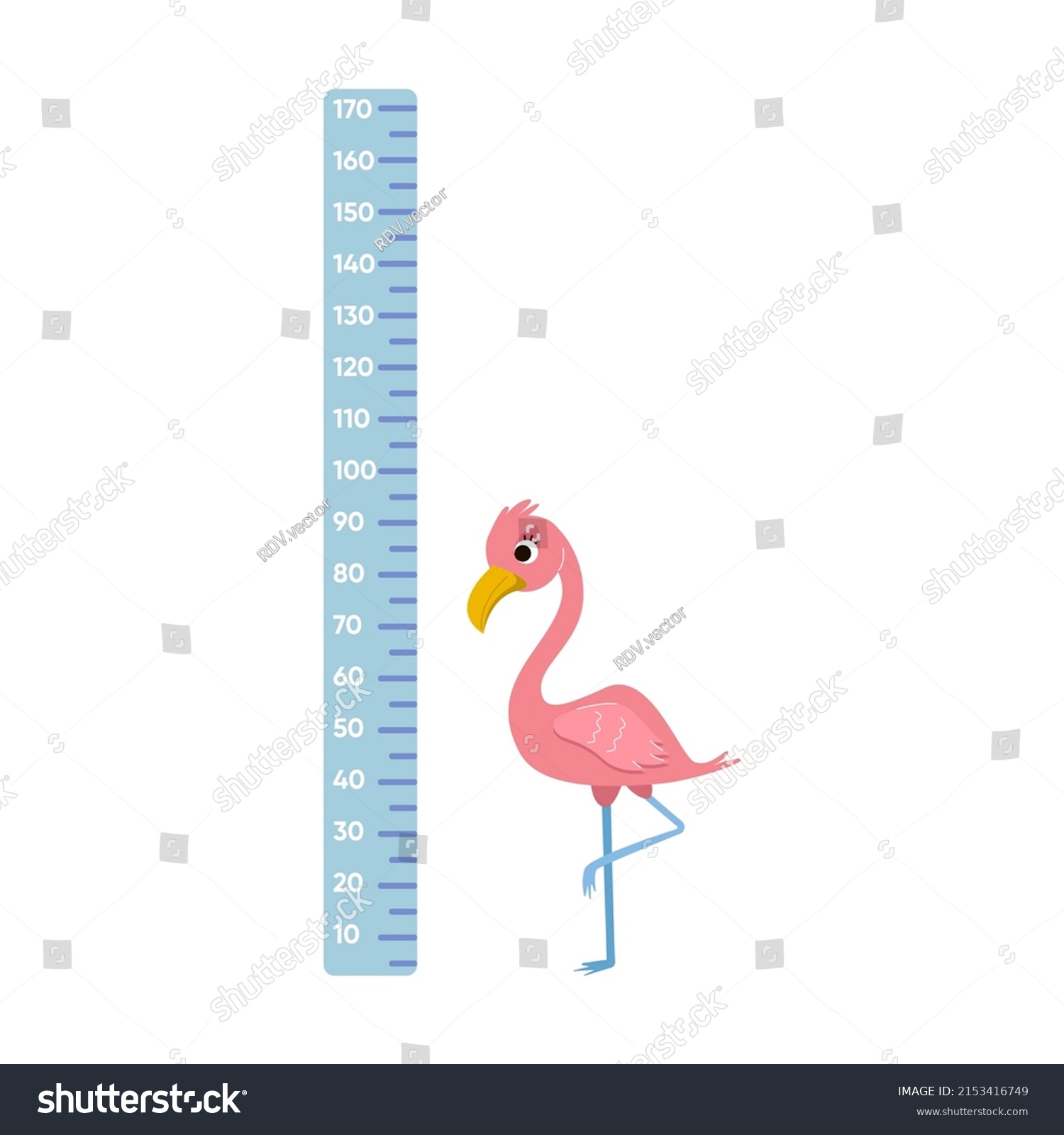 Height Ruler Comic Stout Pink Flamingo Stock Vector (Royalty Free ... Height Ruler Comic Stout Pink Flamingo Stock Vector (Royalty Free ...