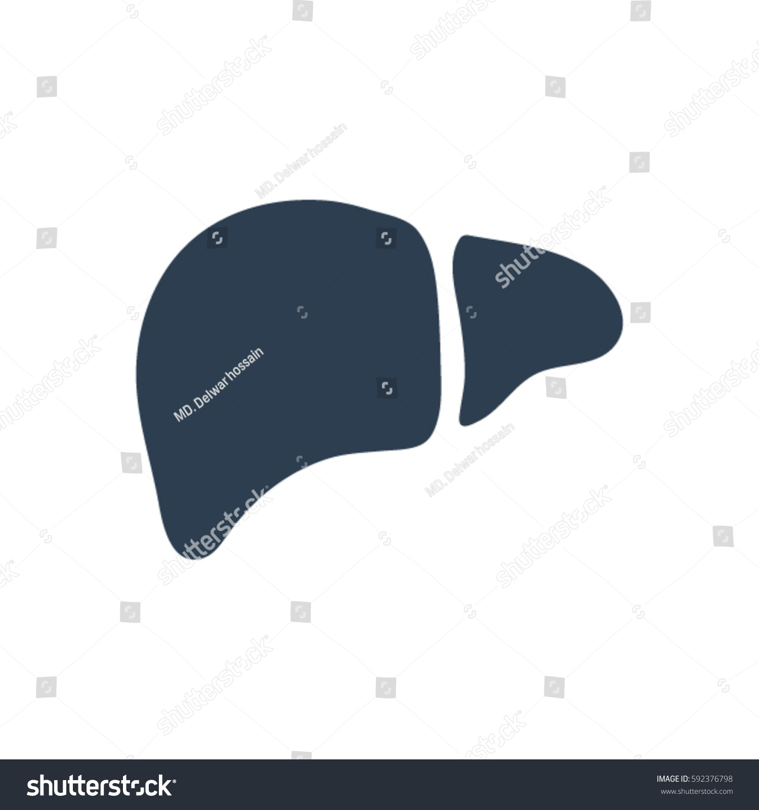 Hepatology Icon Stock Vector (Royalty Free) 592376798 | Shutterstock