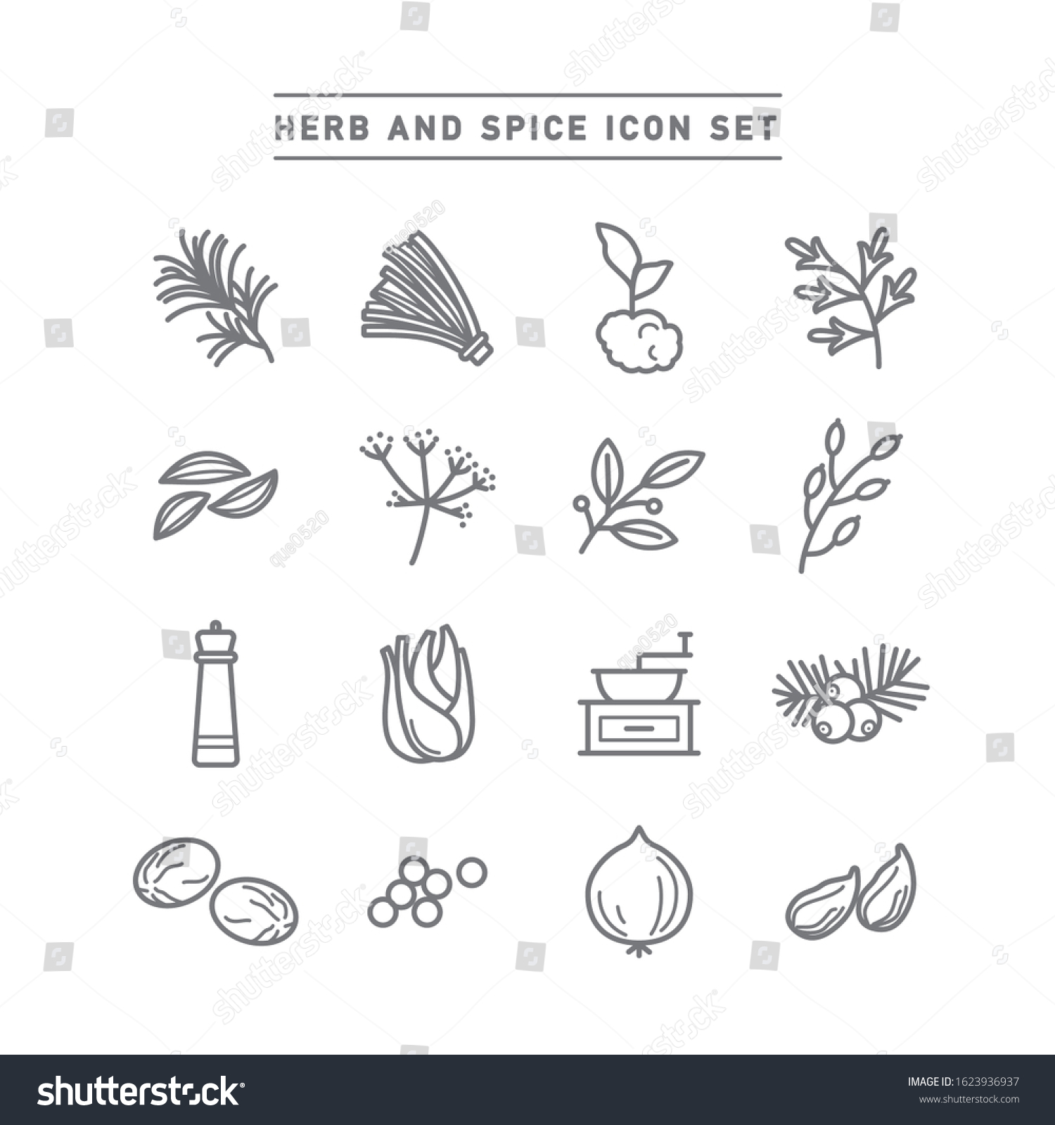 Herb Spice Icon Set Stock Vector (Royalty Free) 1623936937