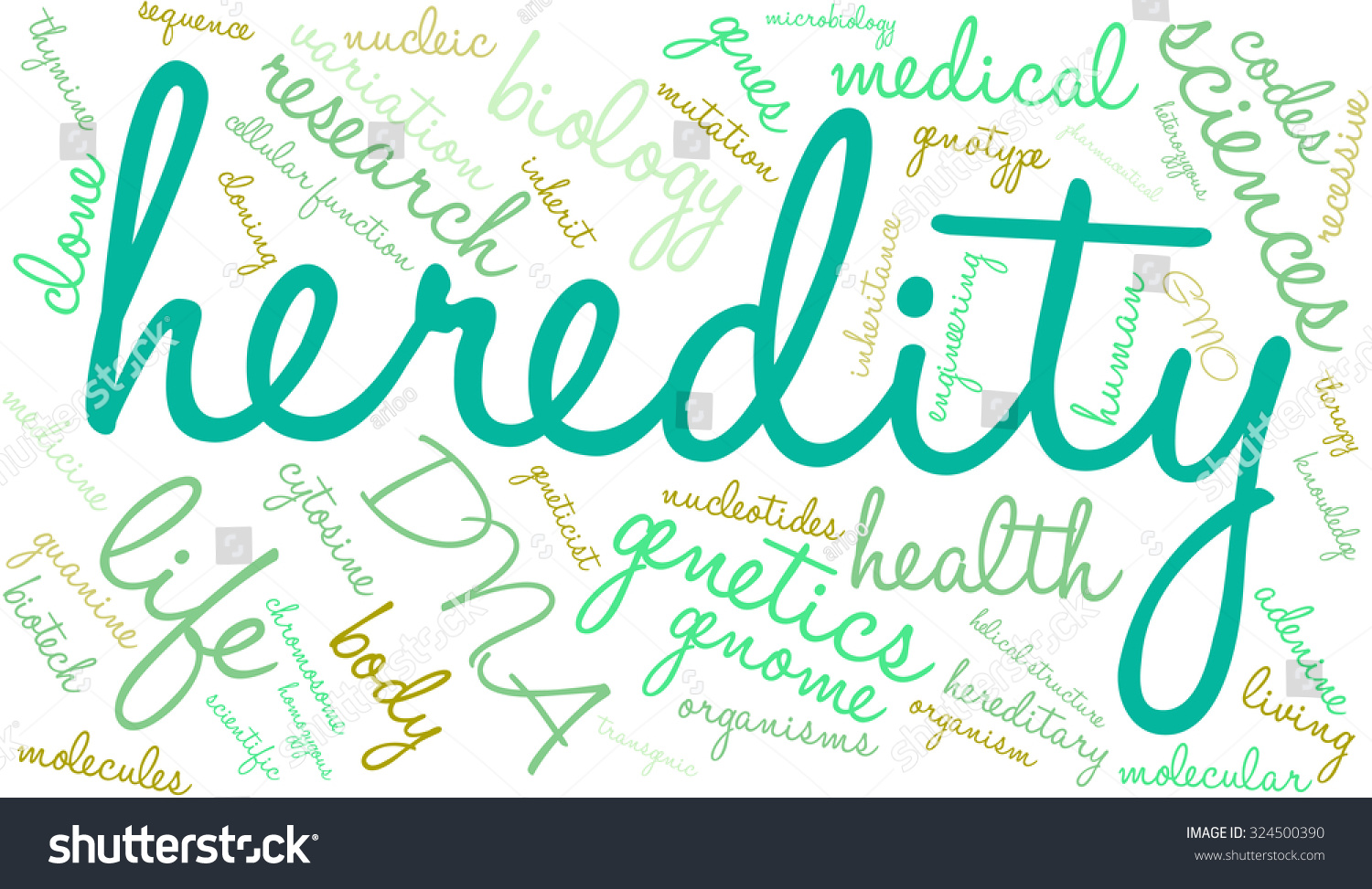 Heredity Word Cloud On White Background Stock Vector (Royalty Free ...